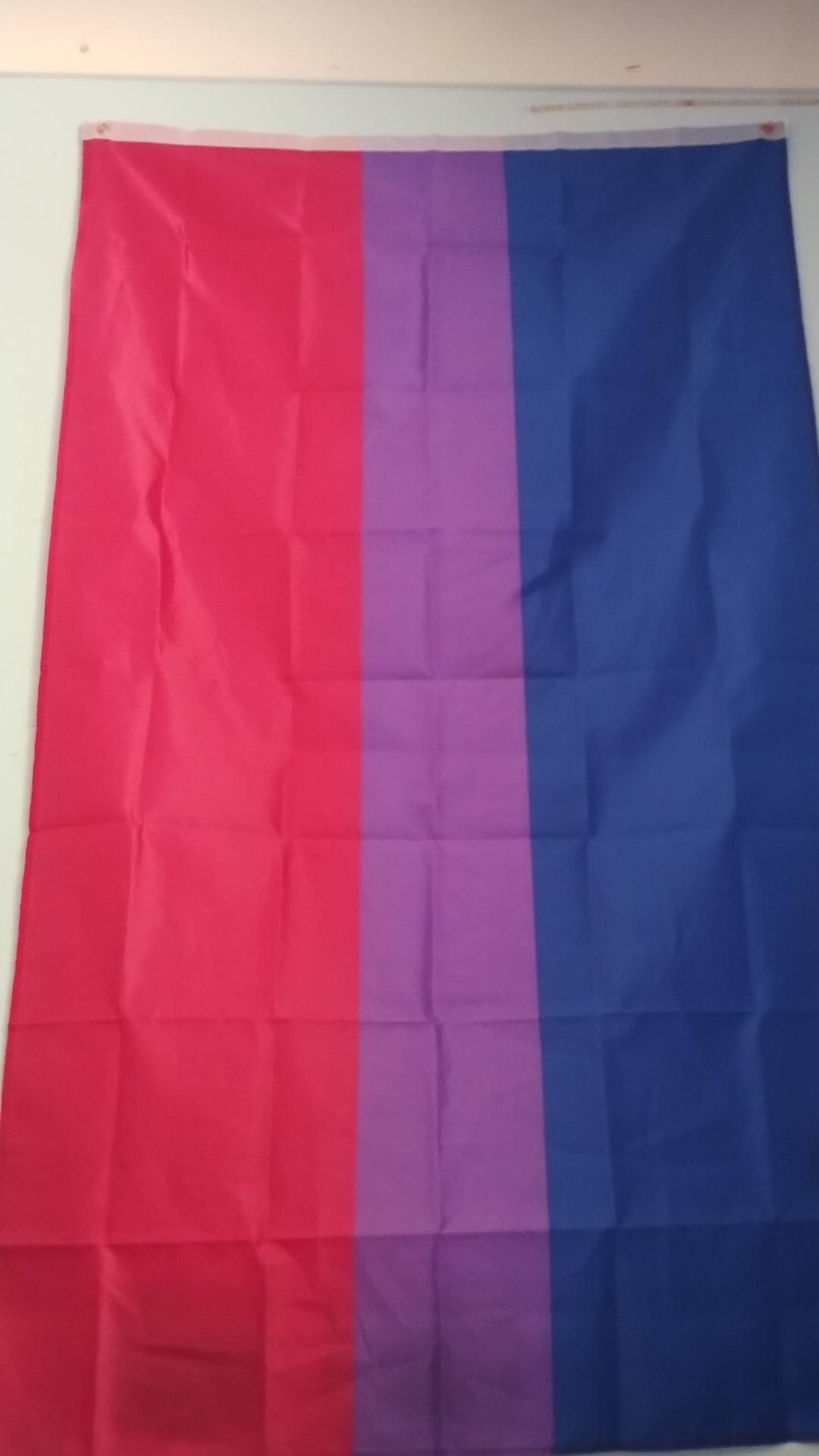 my bi flag came today | Scrolller