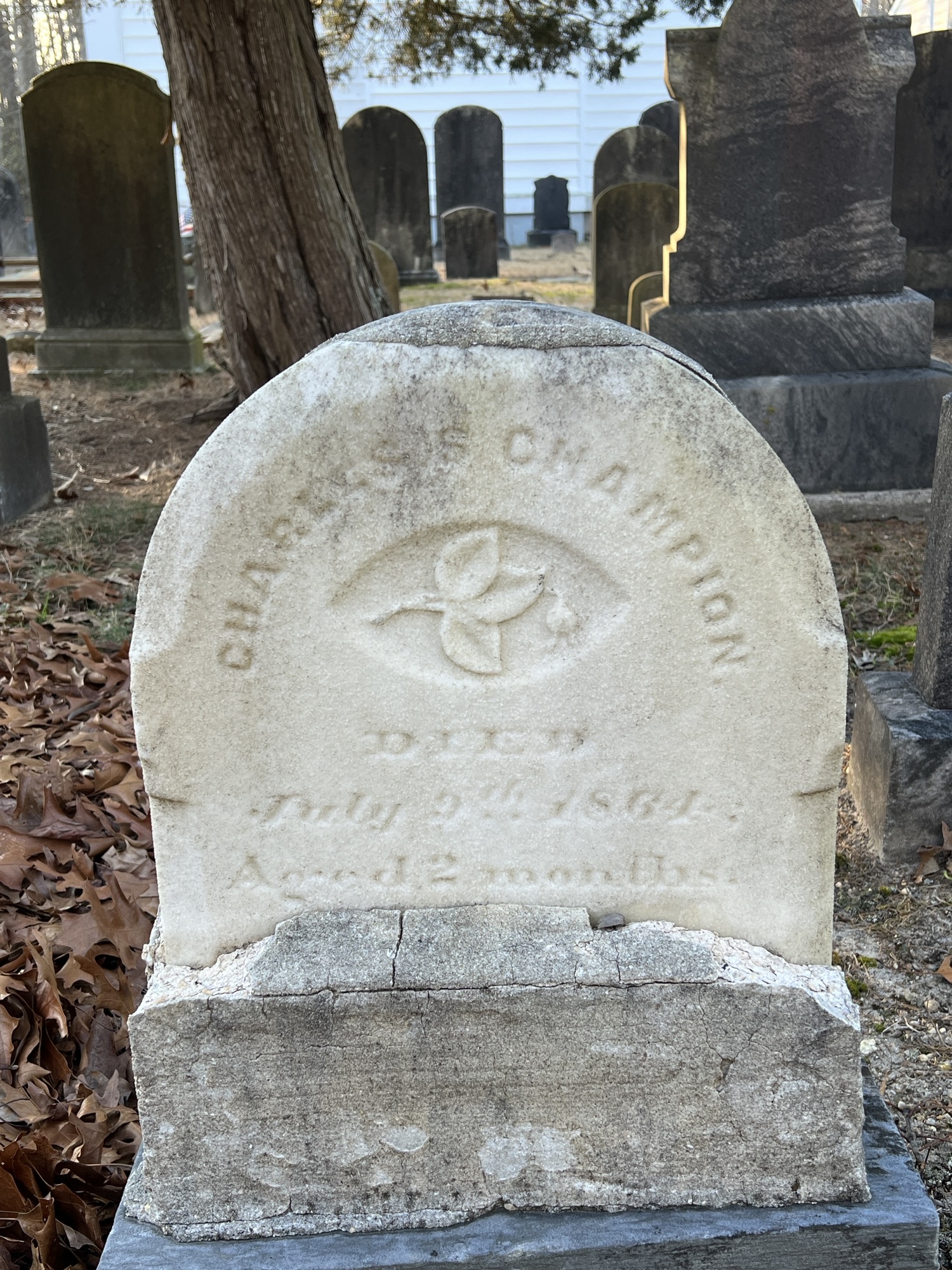 Our little champ | Scrolller