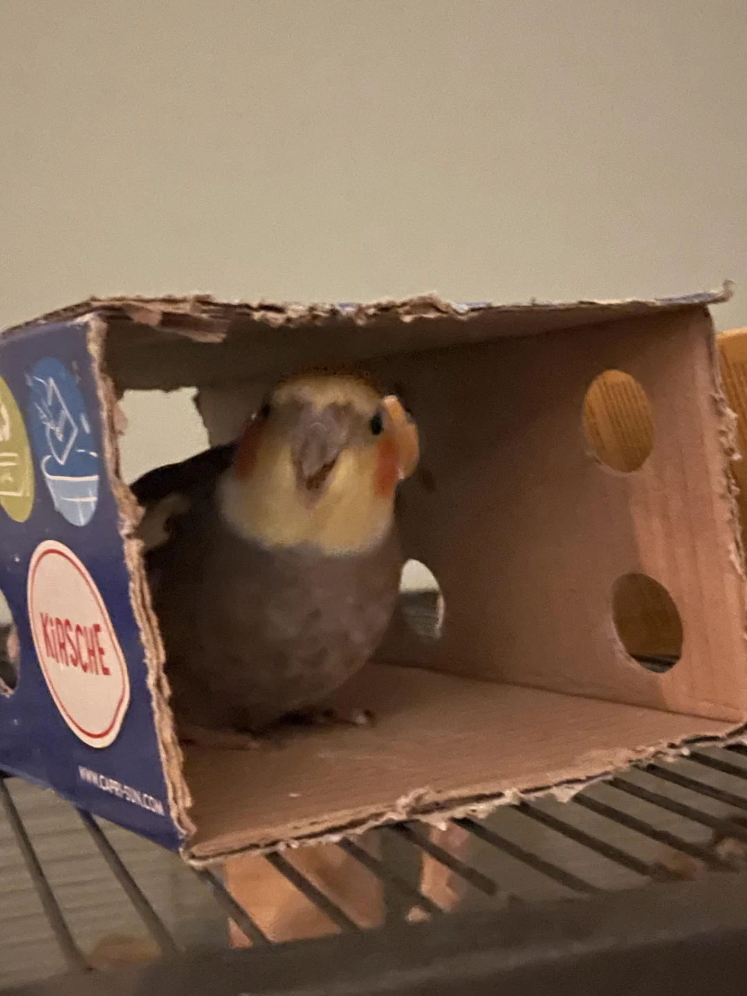 Box gremlin | Scrolller