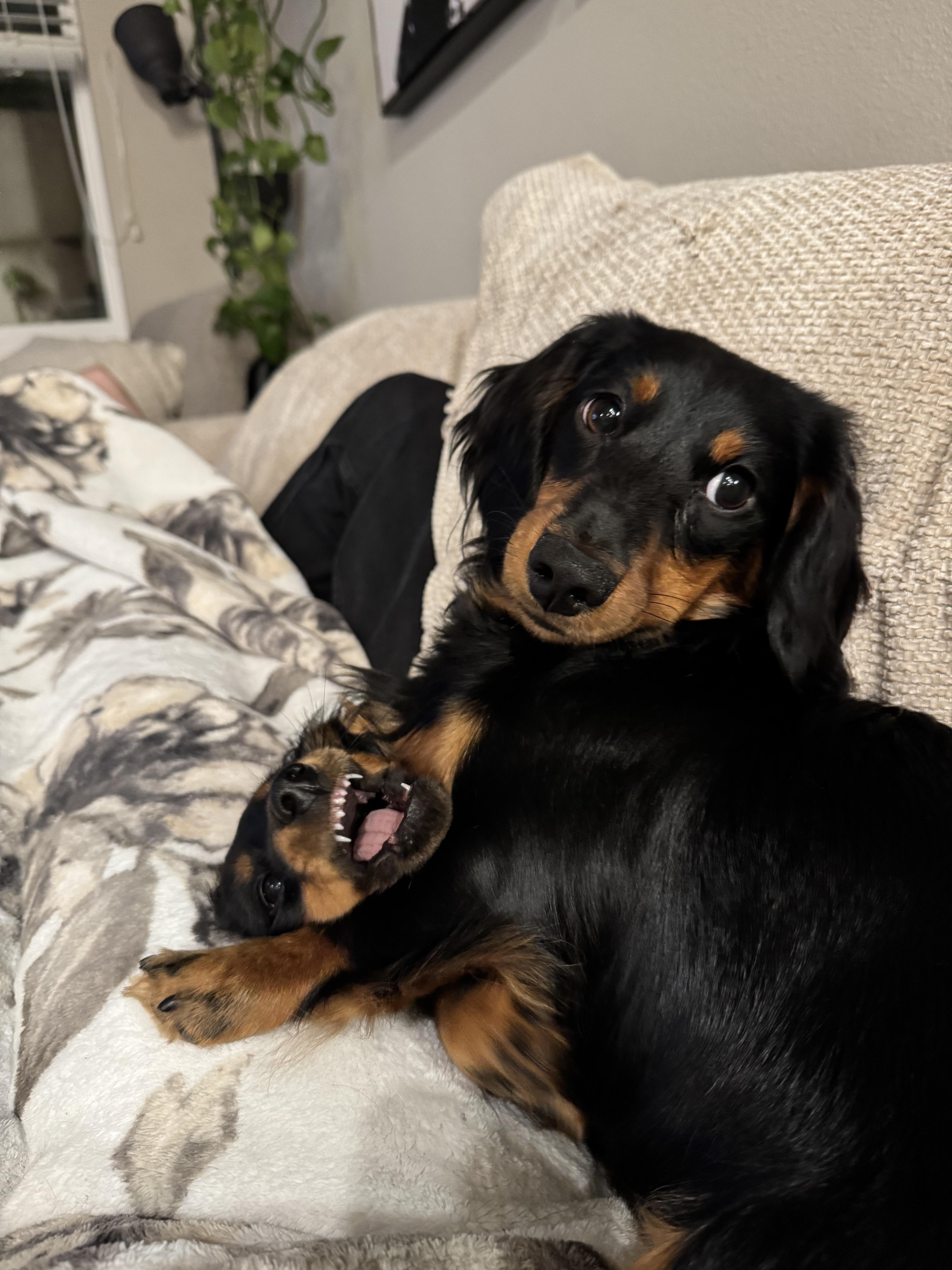 Ralph and his new sister | Scrolller