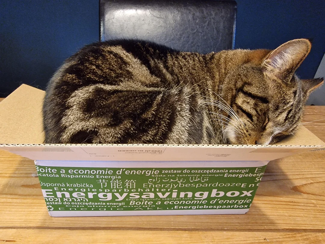 The irresistible trap | Scrolller