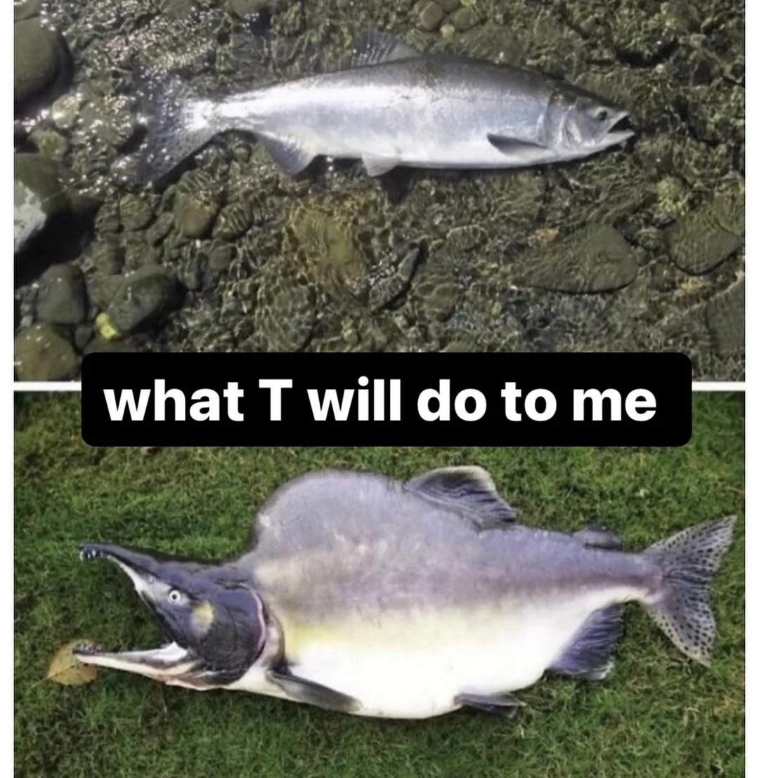 i made this meme i think it has potential | Scrolller