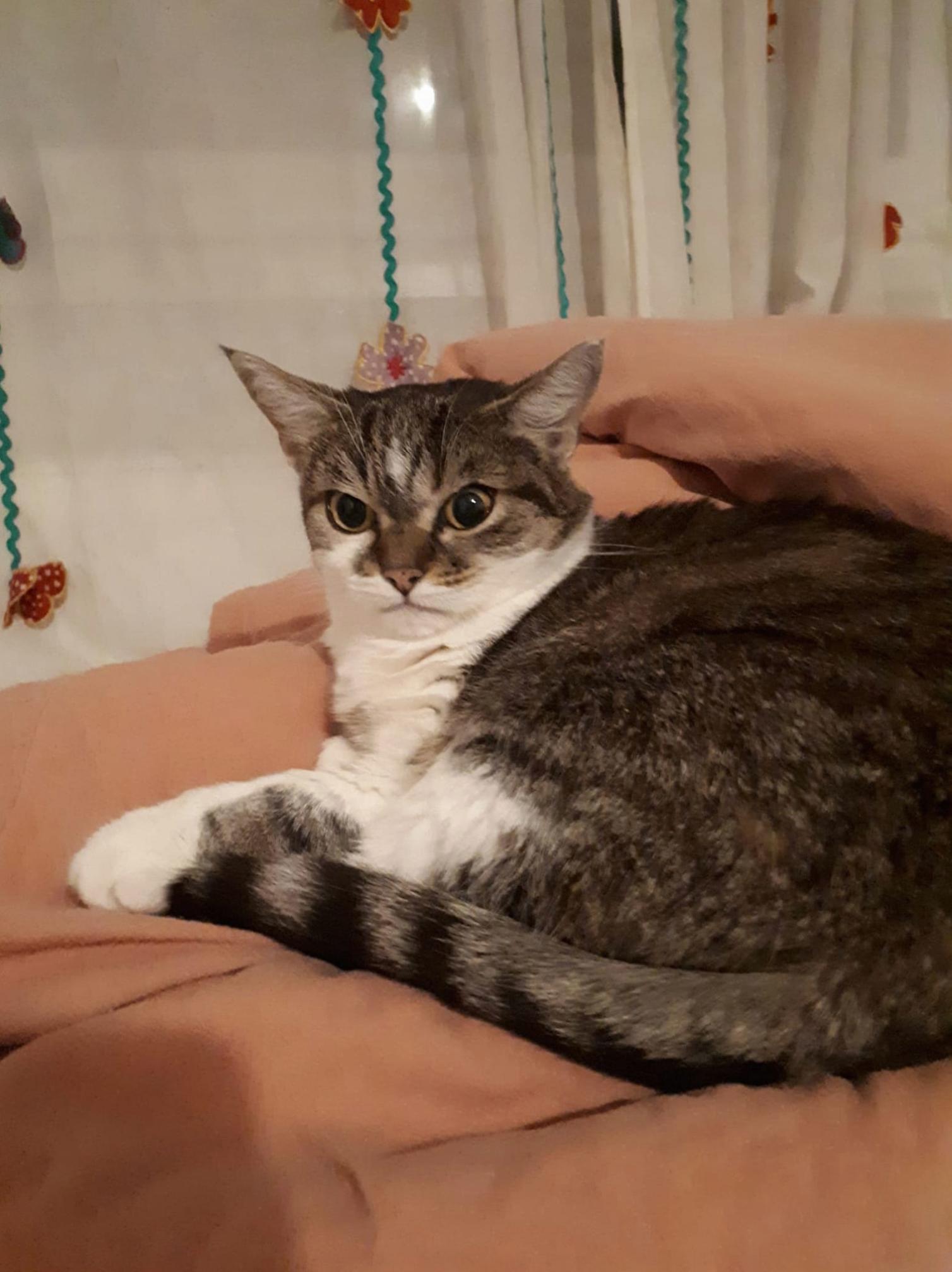 Big Angry | Scrolller