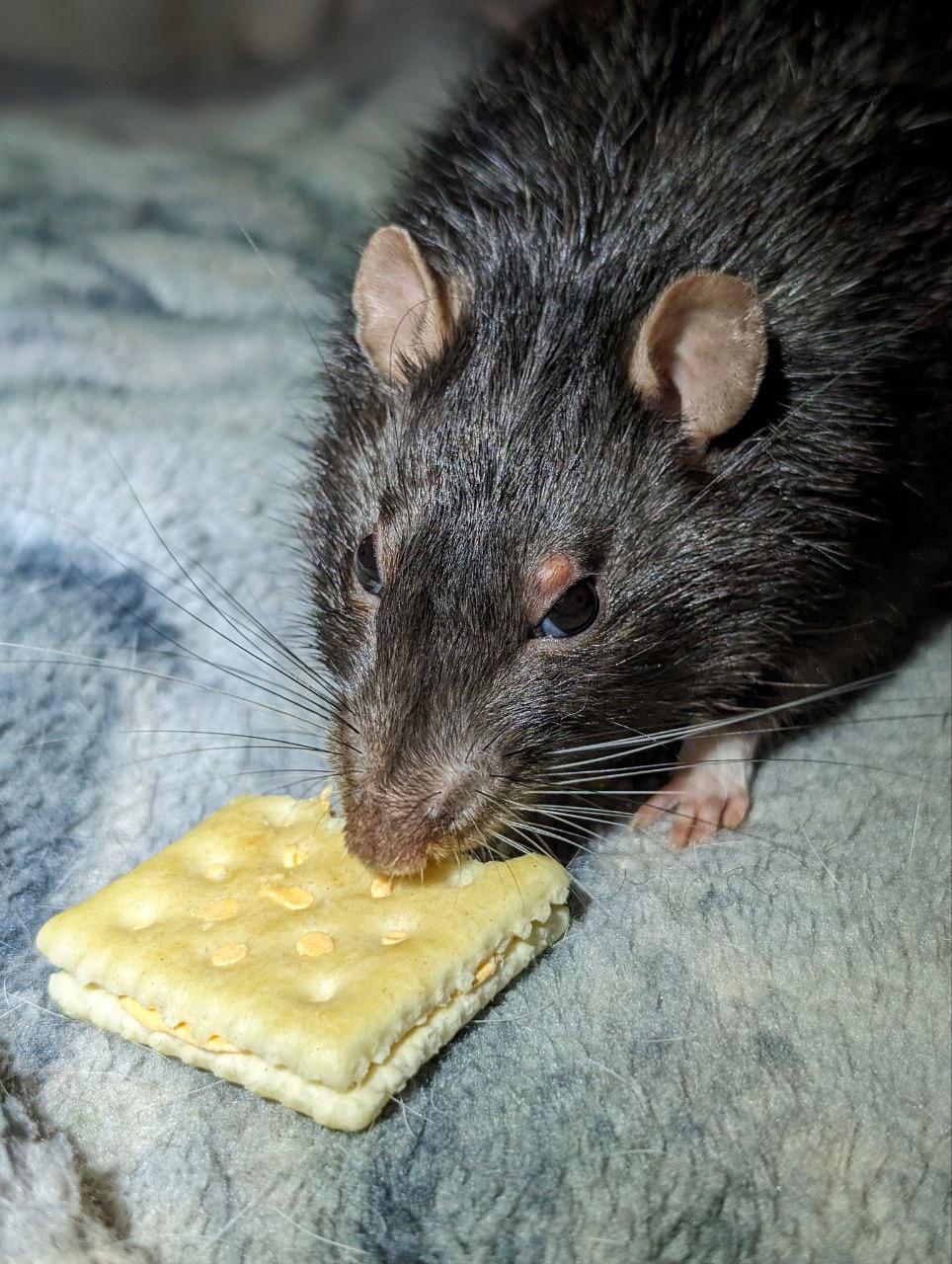 Bump near eye | Scrolller