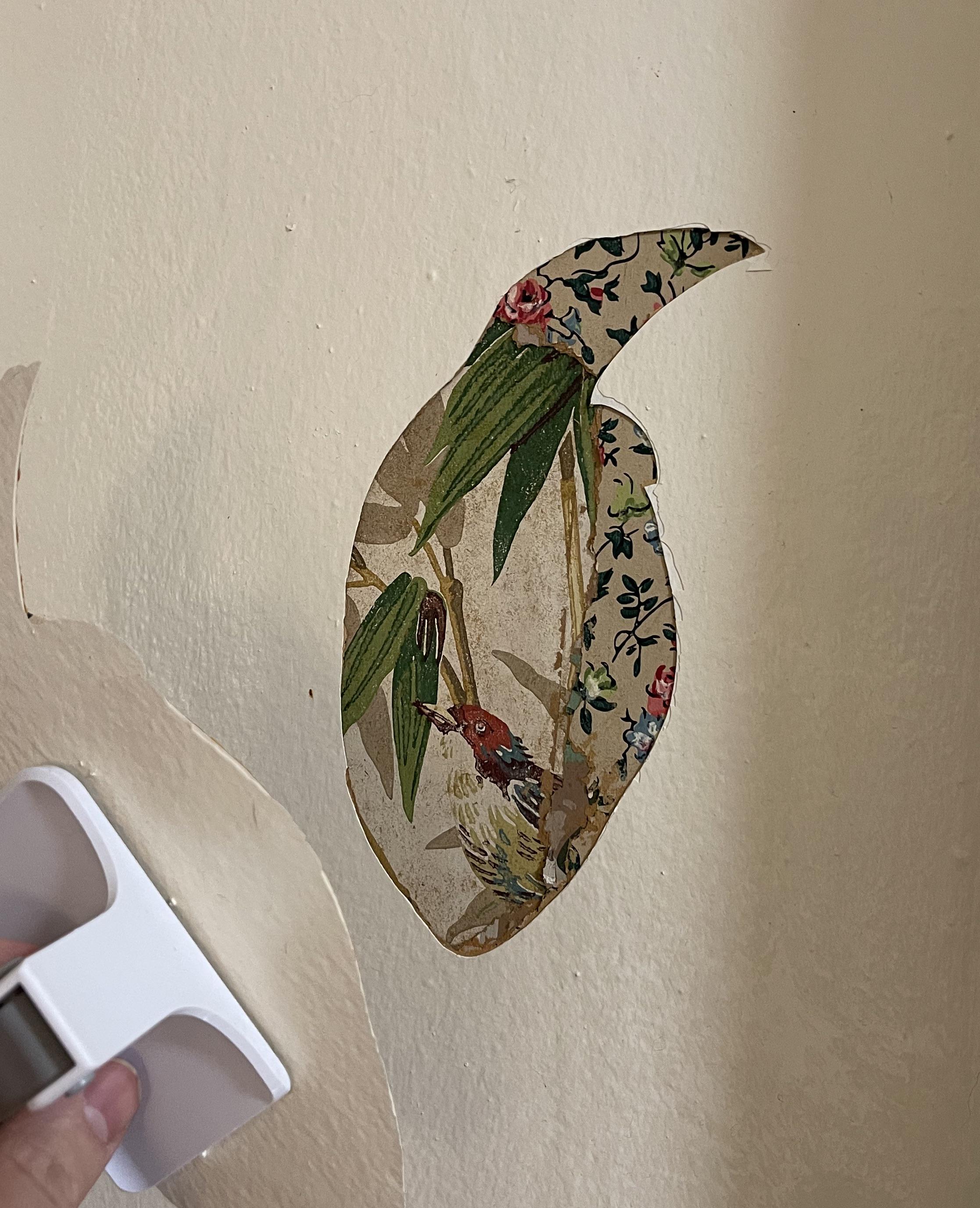 Faulty command strip revealed layers of wallpaper behind the landlord special kitchen paint ...