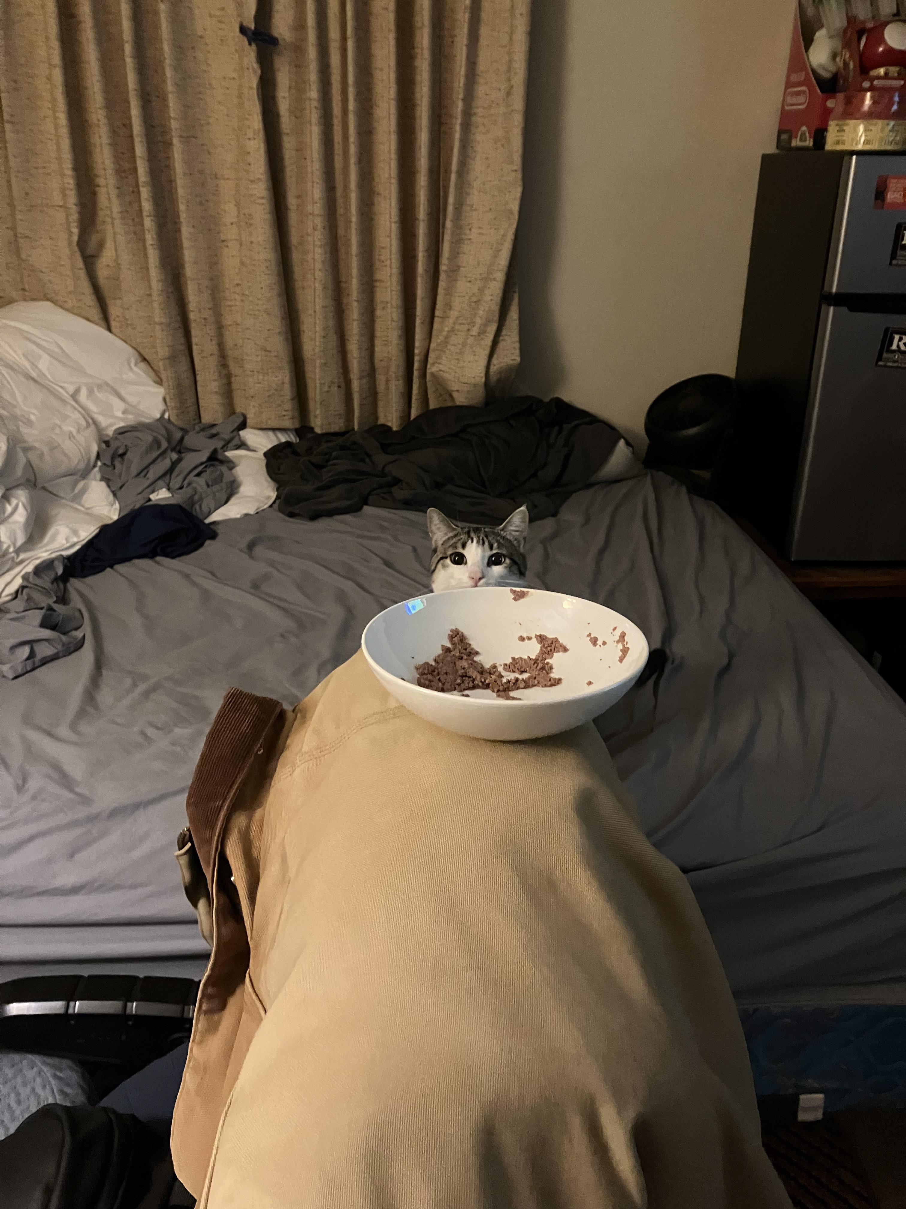 Nothing else in the world matters | Scrolller