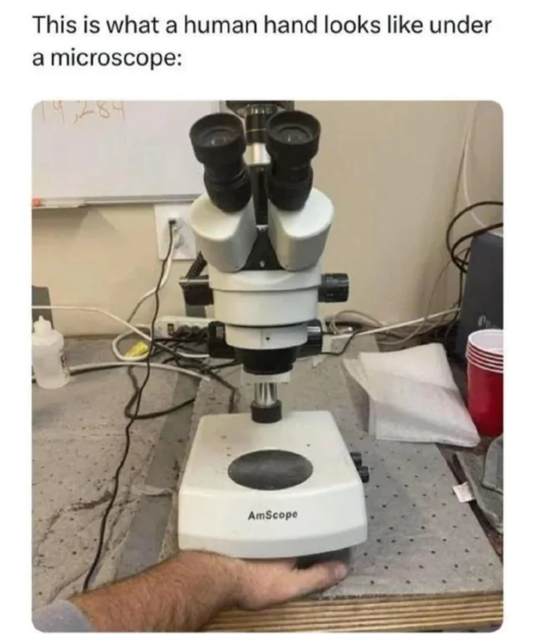 Discover more like Antimeme: ‎A hand under a microscope and Related Content | Scrolller