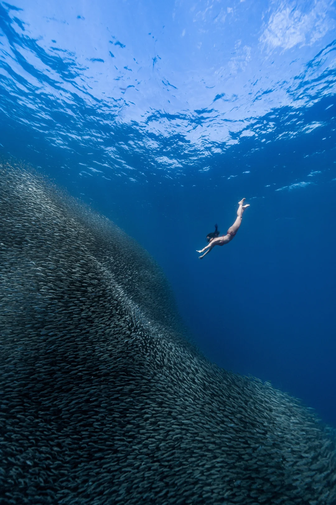 Freediving isn't just about breath-holding; it's a connection with the sea. | Scrolller