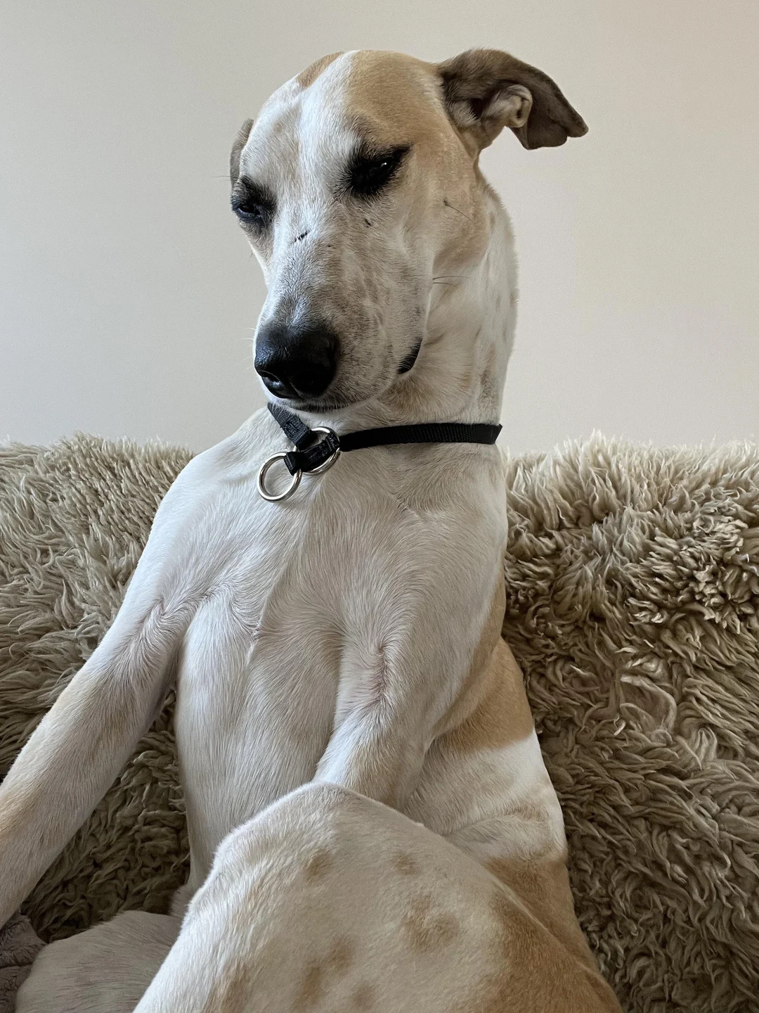 Captain Awkward | Scrolller