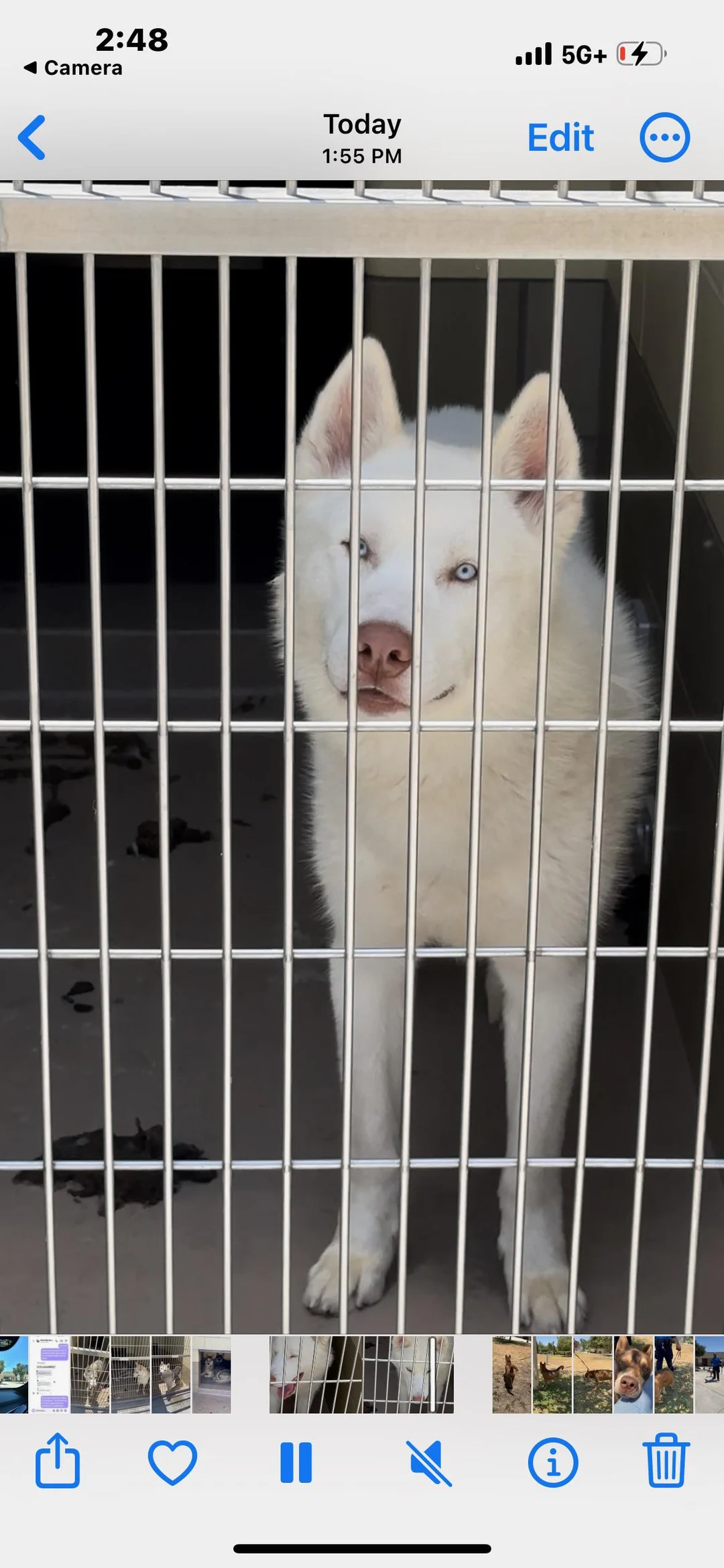 Update on Stuart | Scrolller