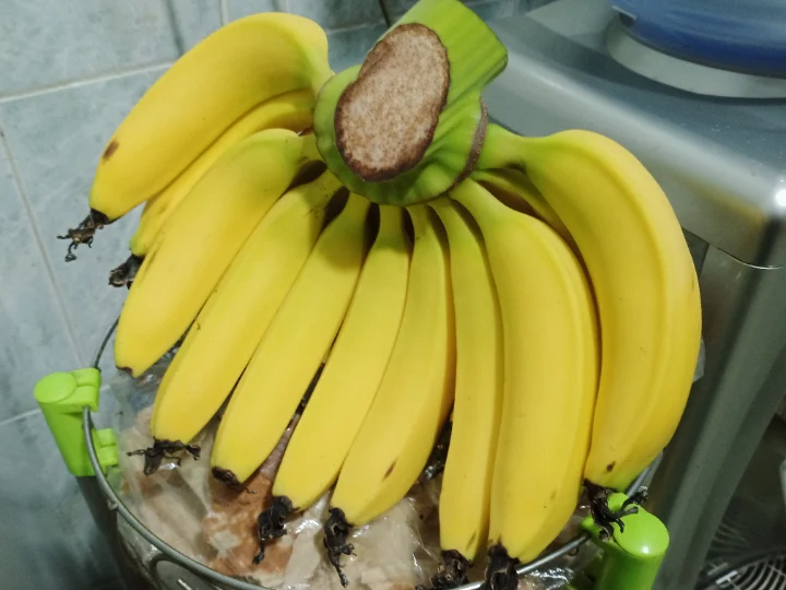 Discover more like Amazing: The perfect bananas and Related Content | Scrolller