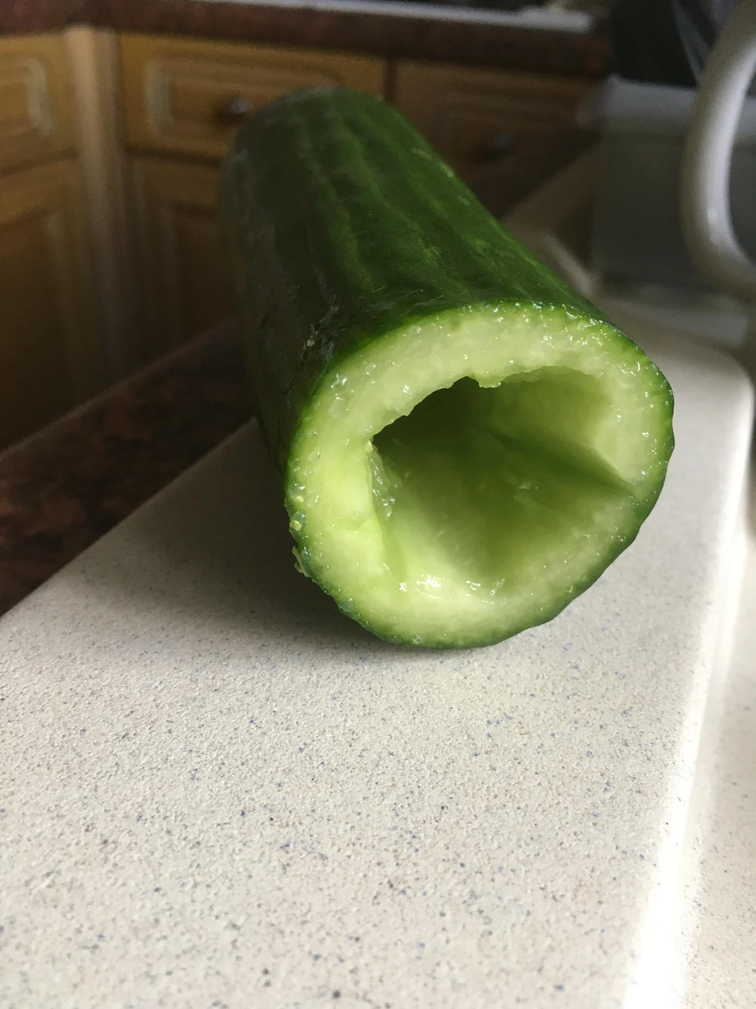 Was trying to make a “cucumber knife” but instead made a vegan fleshlight | Scrolller
