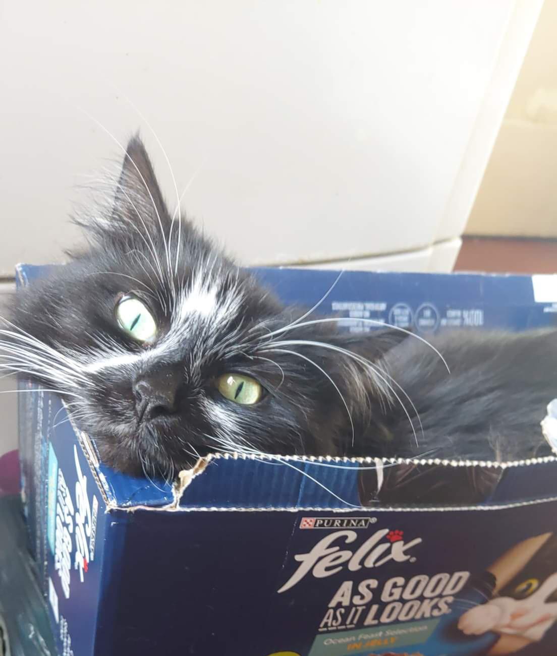 Squashed in cosily. | Scrolller