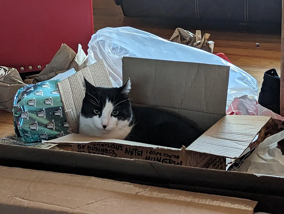 we have a few traps out, one worked. | Scrolller