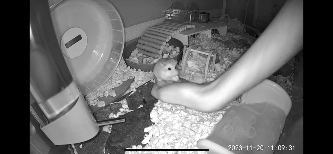 taming progress | Scrolller