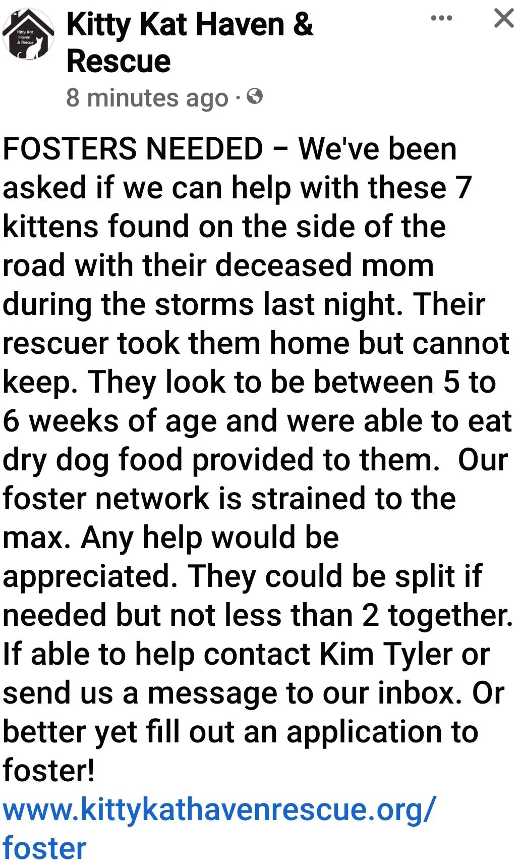 Foster help needed! | Scrolller