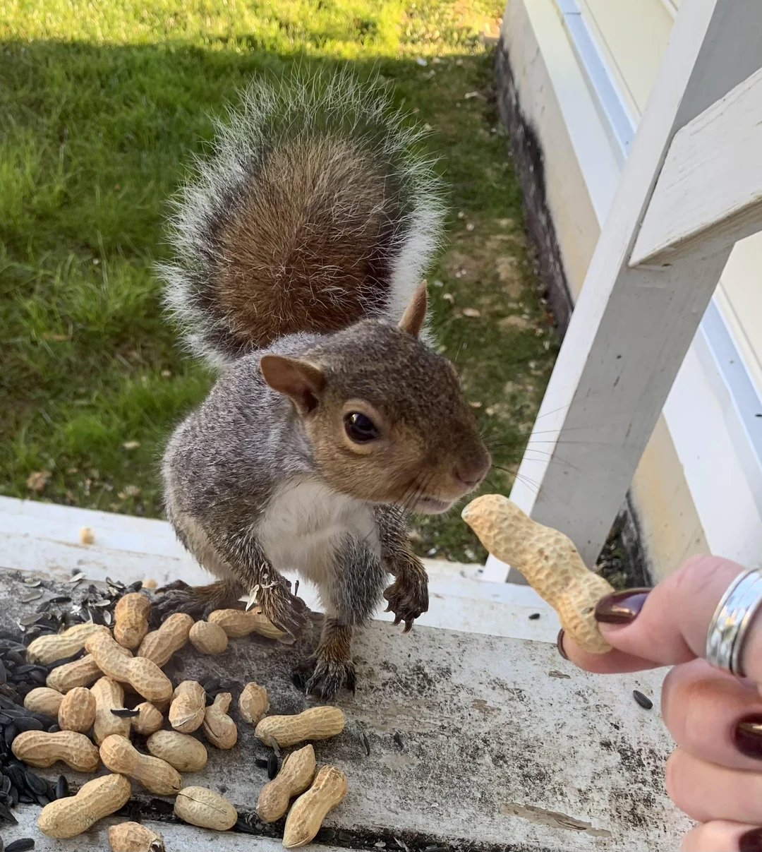 A Picture of a Younger Walter Sniffing Peanuts! | Scrolller