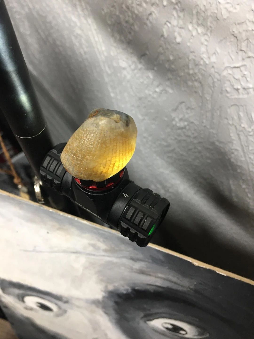 Translucent Precambrian July 8th | Scrolller