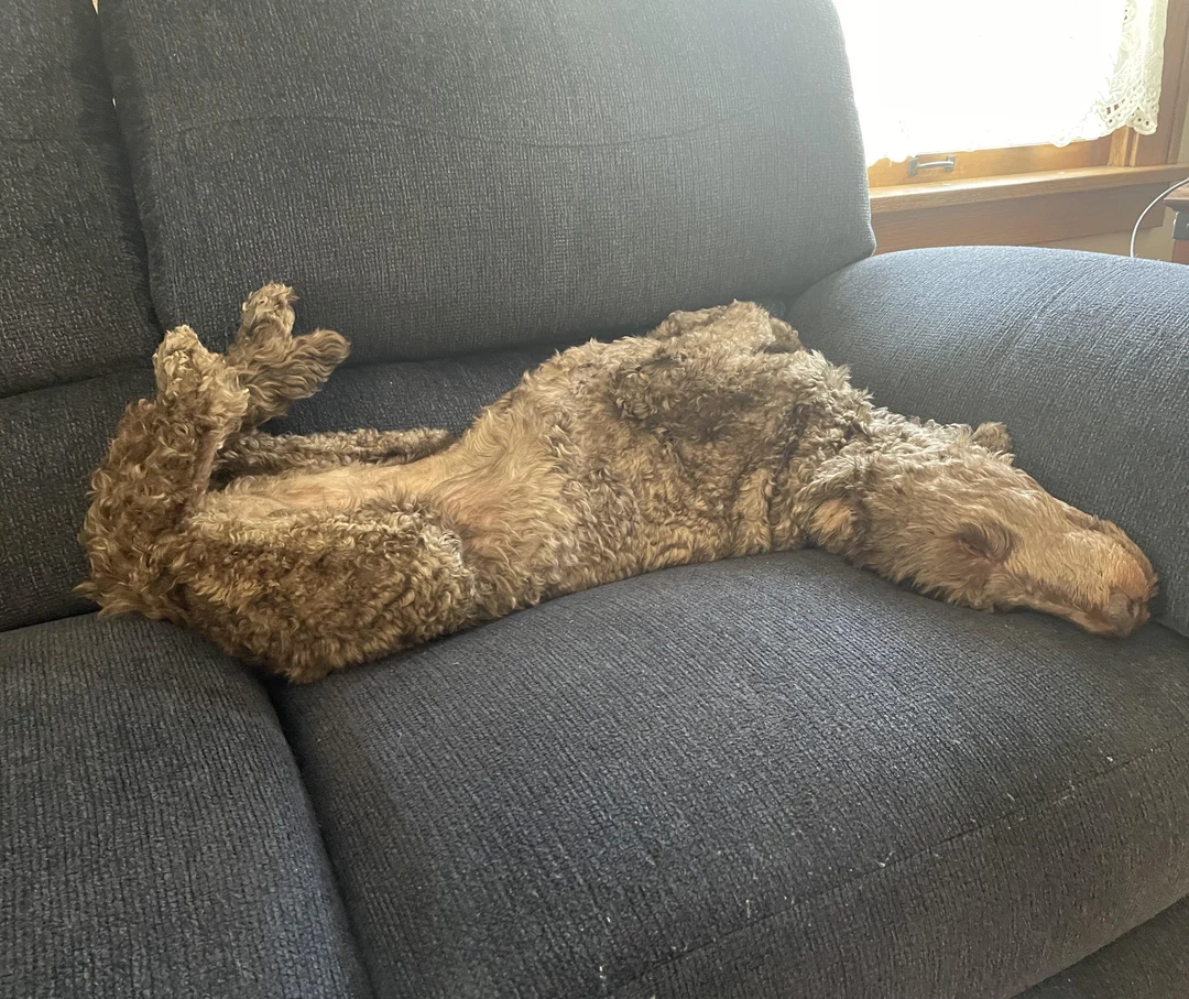 Confusing perspective snooze | Scrolller