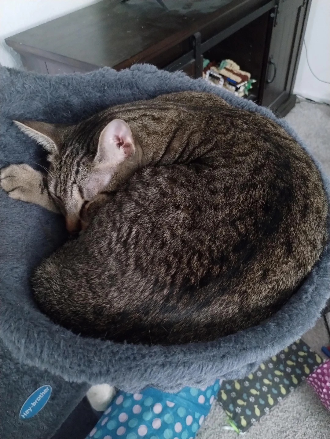 My man Gus | Scrolller