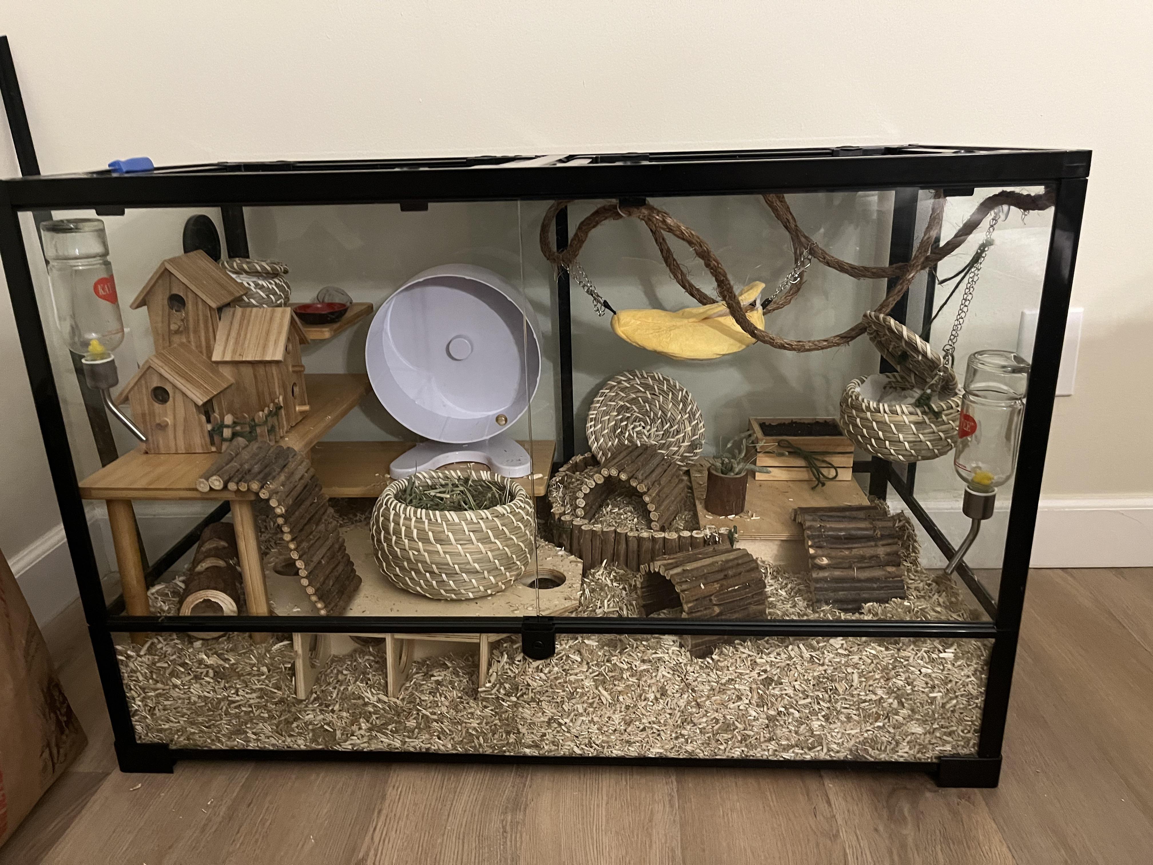 Cage clutter and setup suggestions | Scrolller