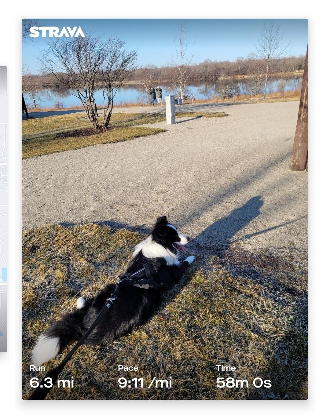 Rocky's First 10k!! | Scrolller