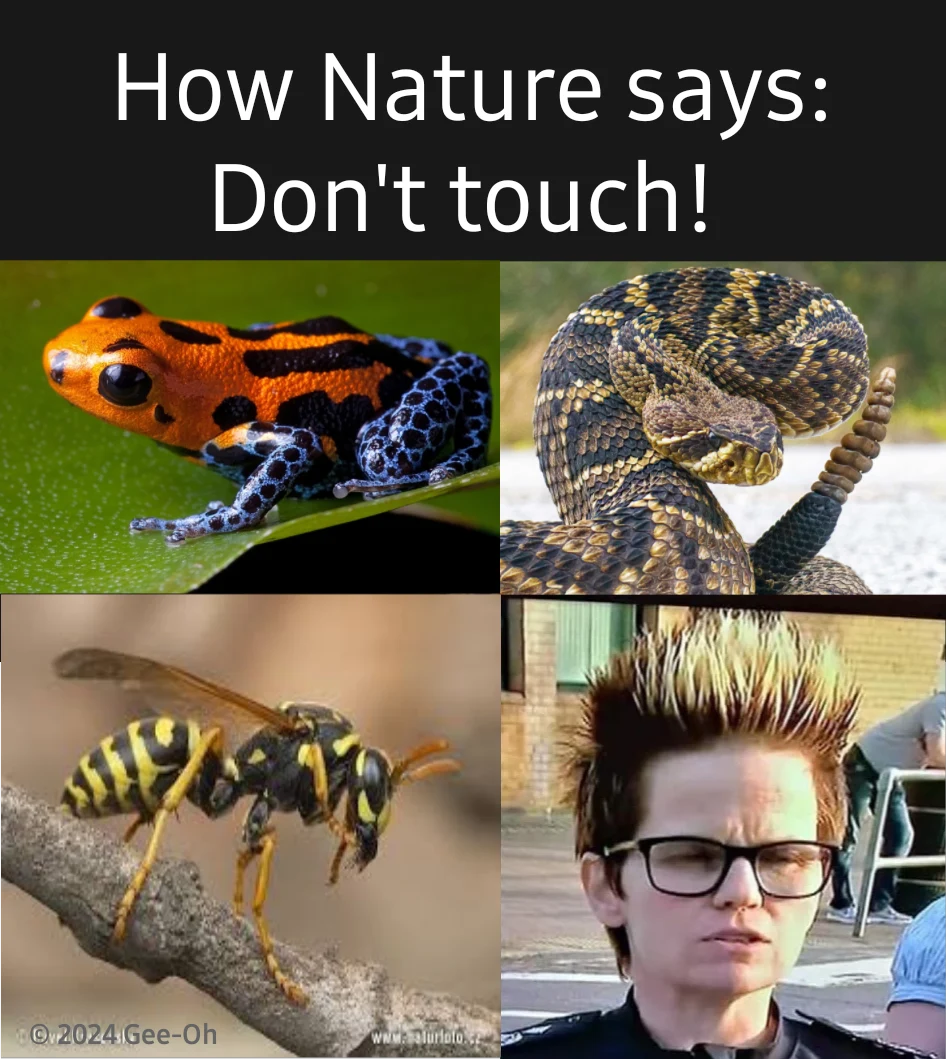 They often make loud noises too. | Scrolller