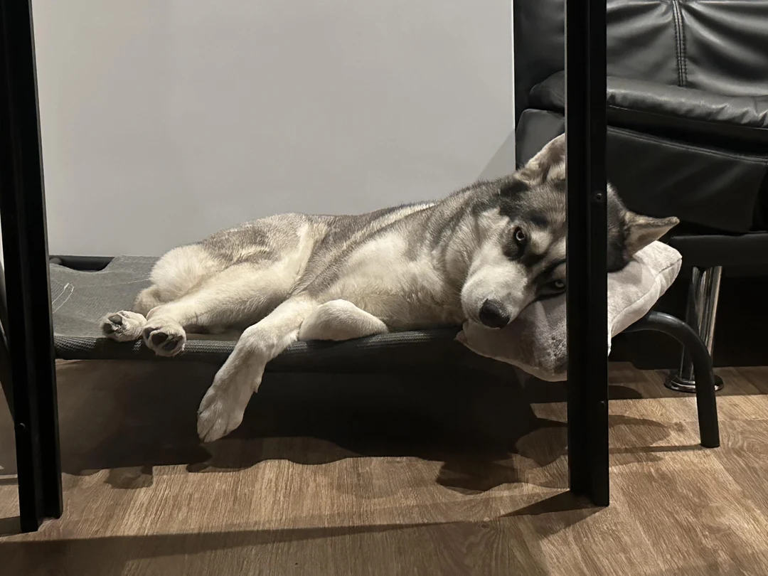 Bed issue | Scrolller