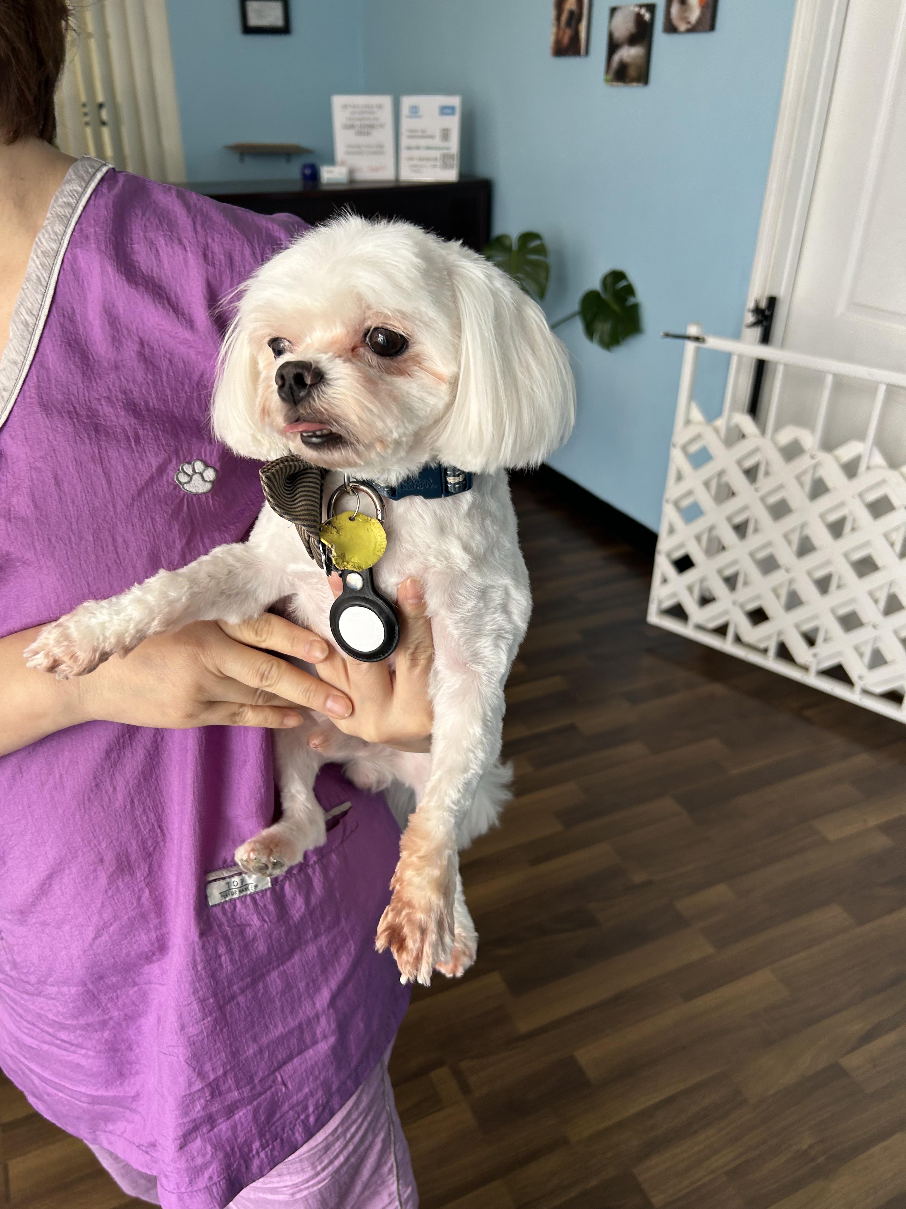 Grooming day | Scrolller