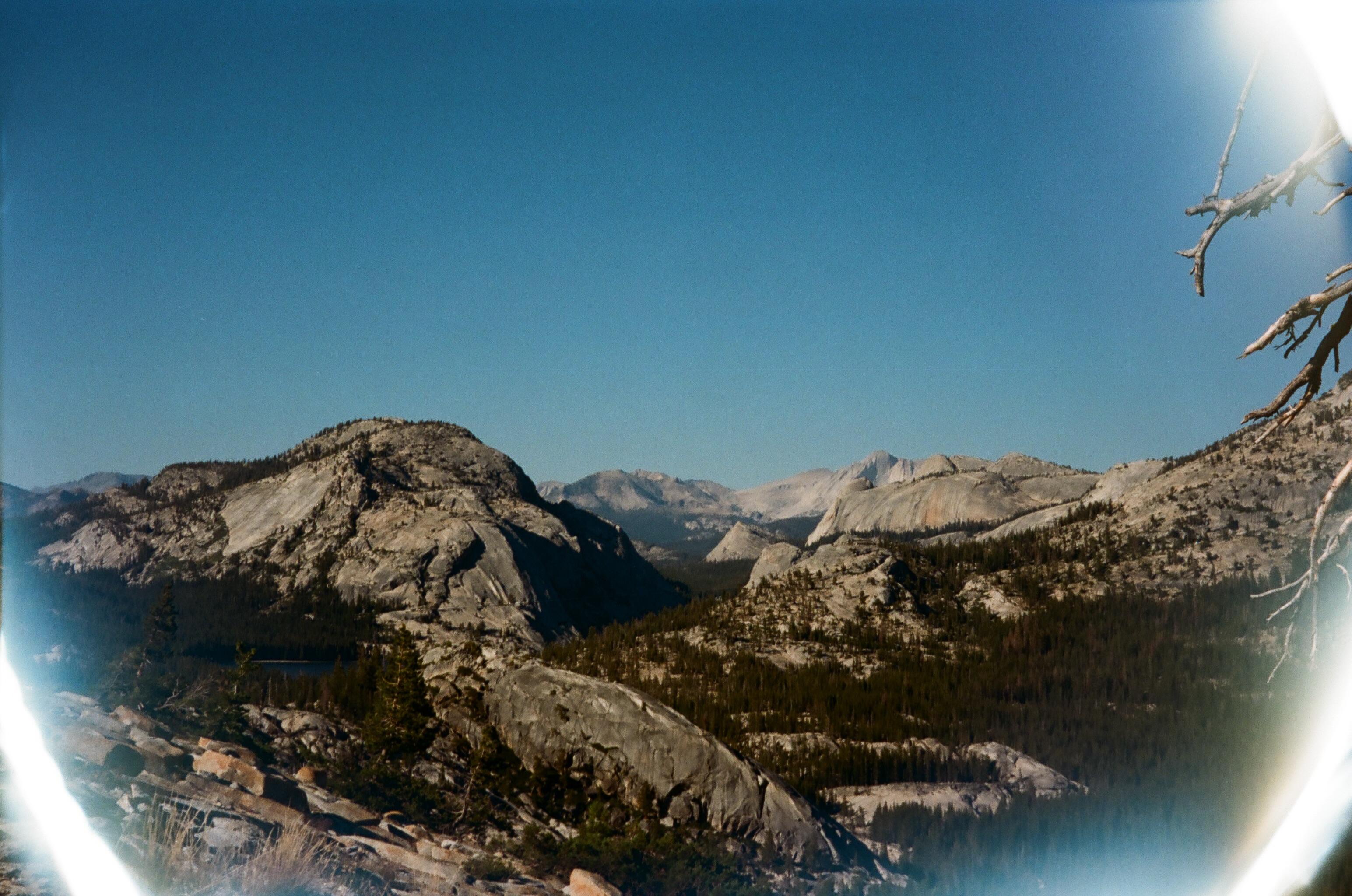 Problem Curved White Lines Showing Up On Developed Film Scrolller