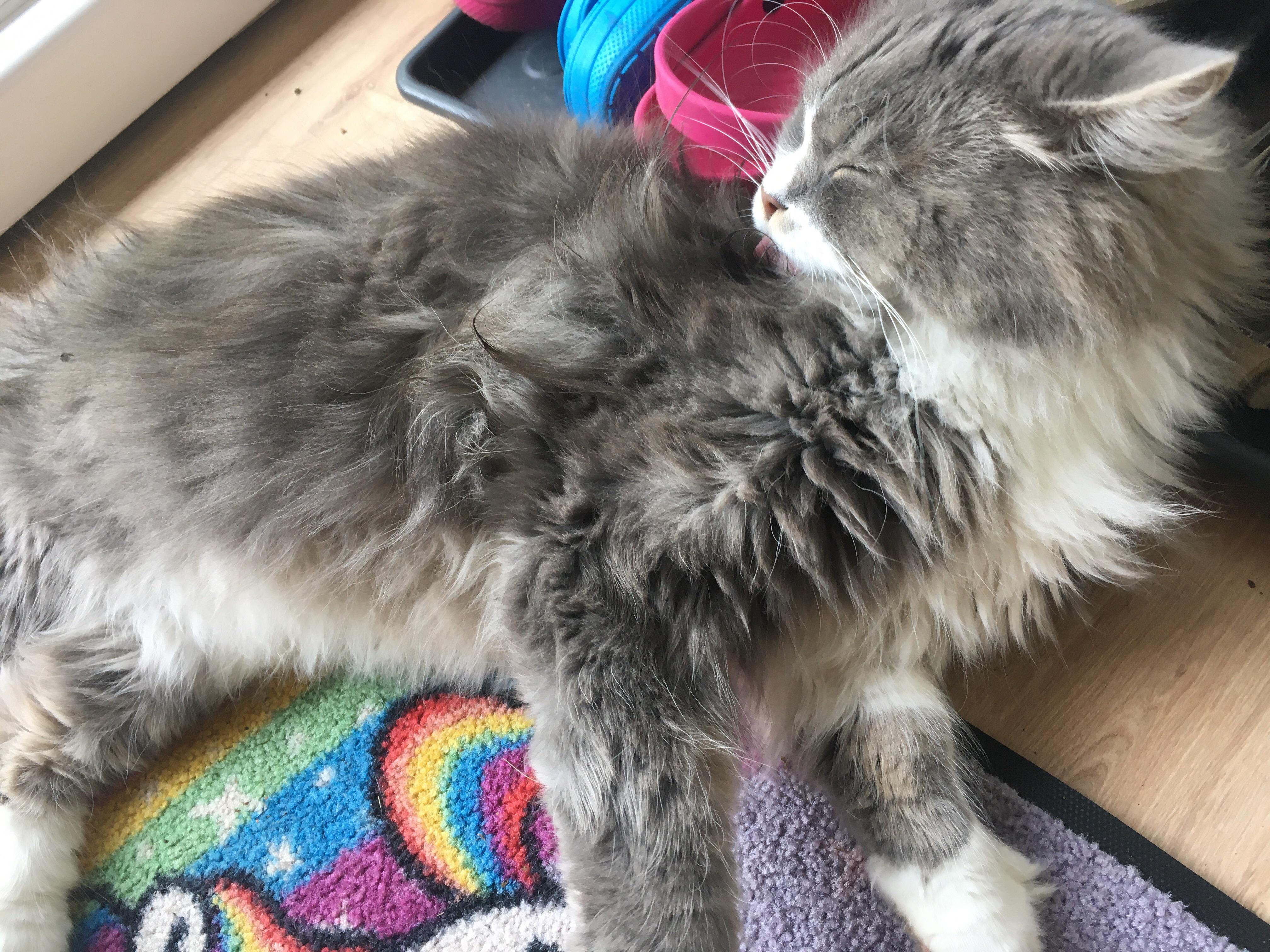 More cleaning | Scrolller