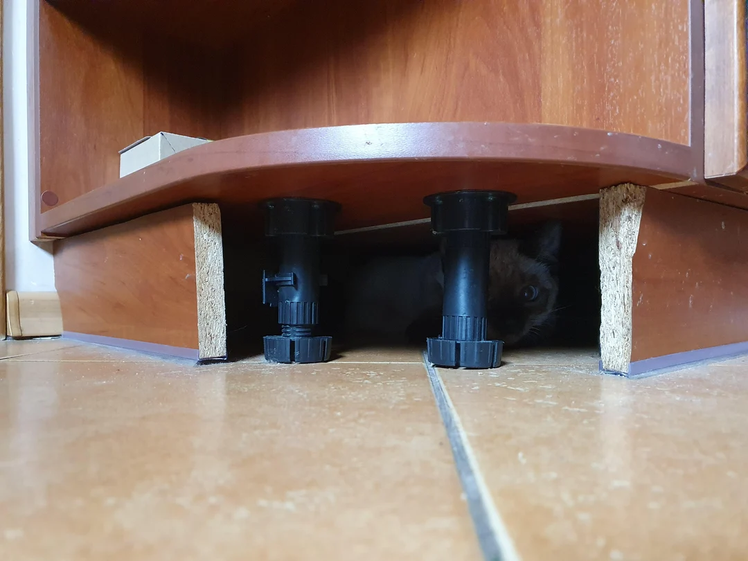 unintentional trap | Scrolller