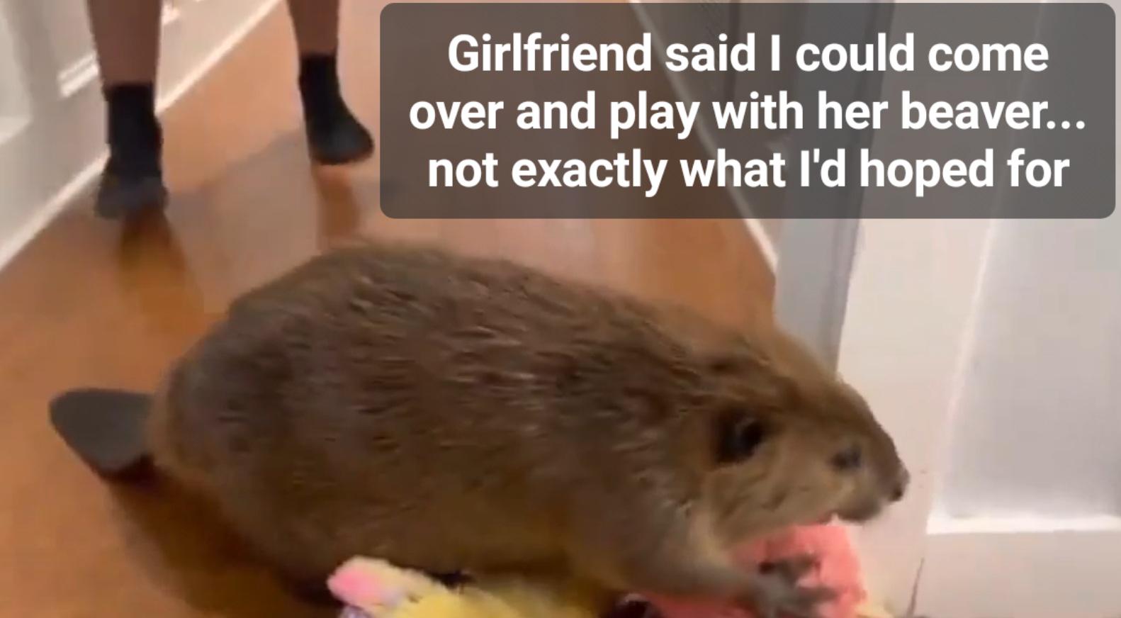 Still fun though | Scrolller