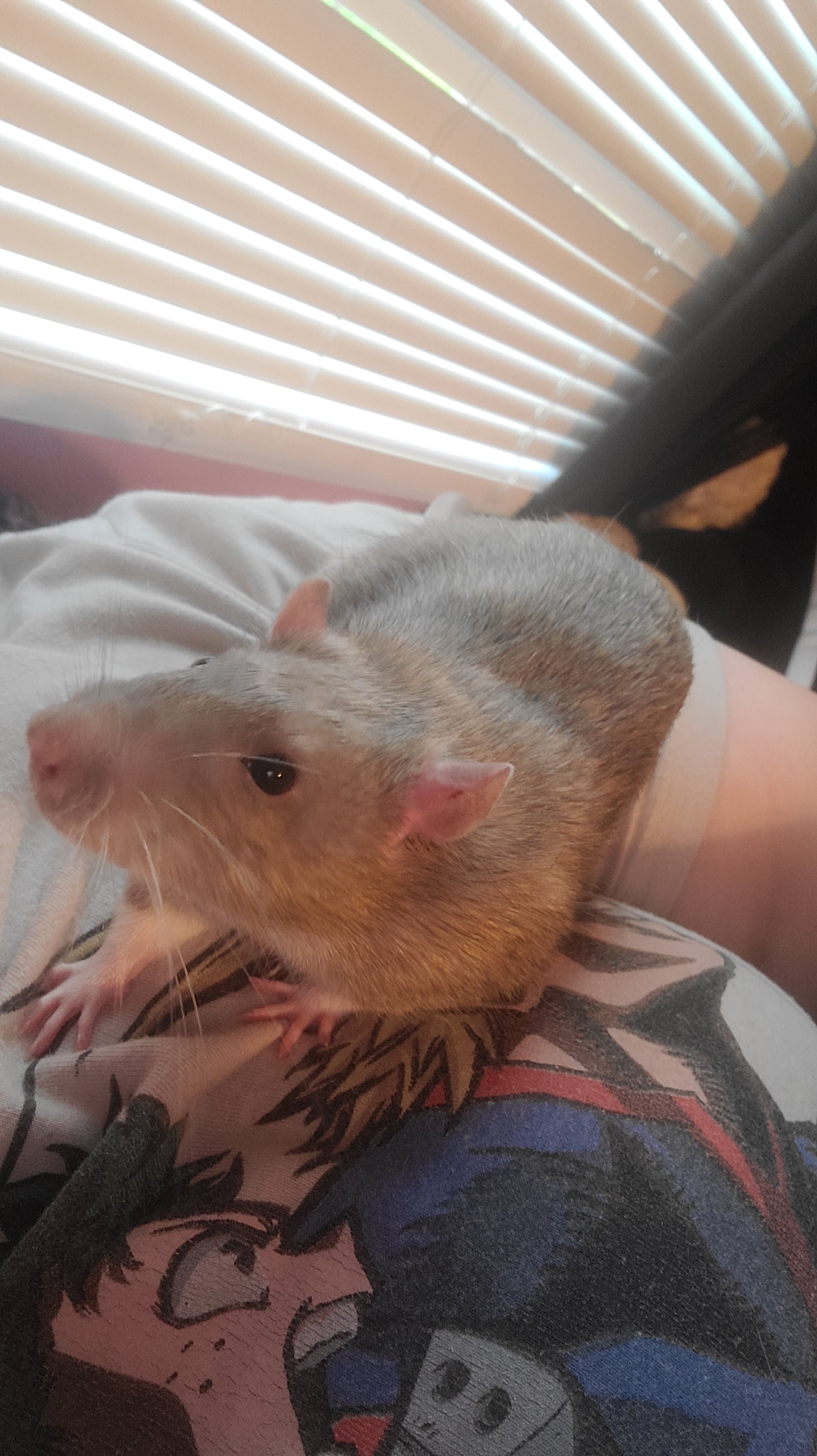 How do you cope with loss? | Scrolller