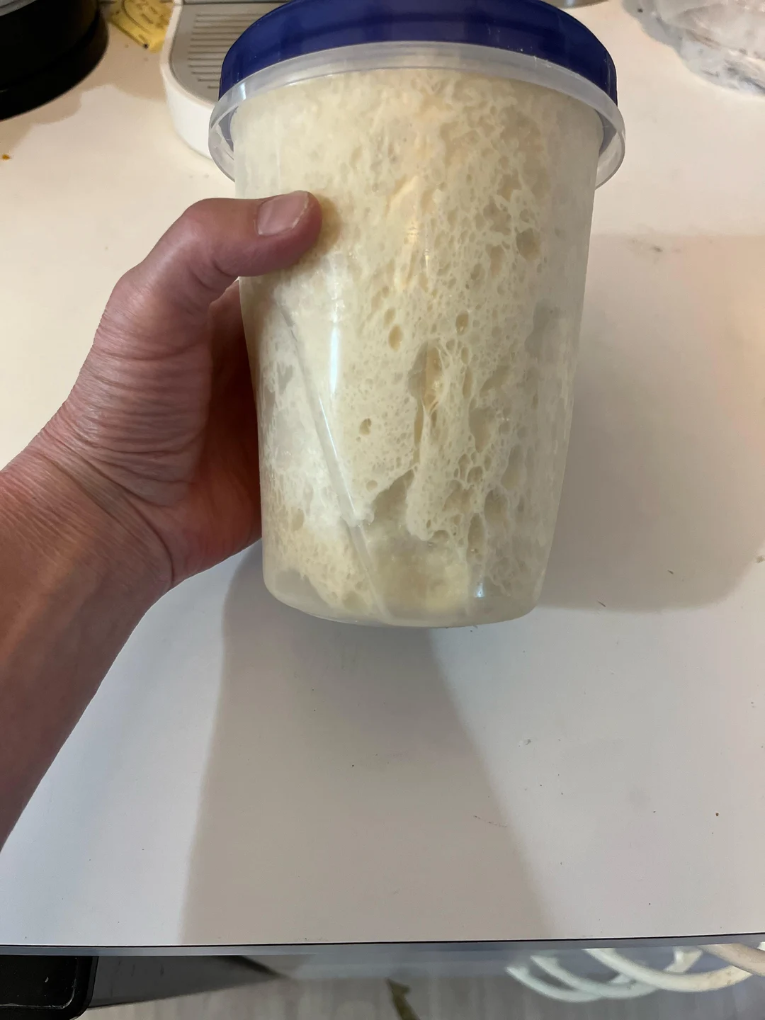 Clam pie | Scrolller