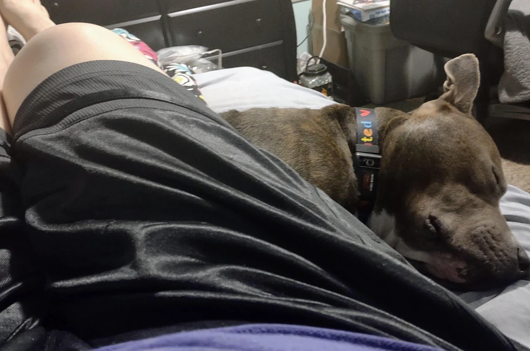 Ziggy making himself at home | Scrolller