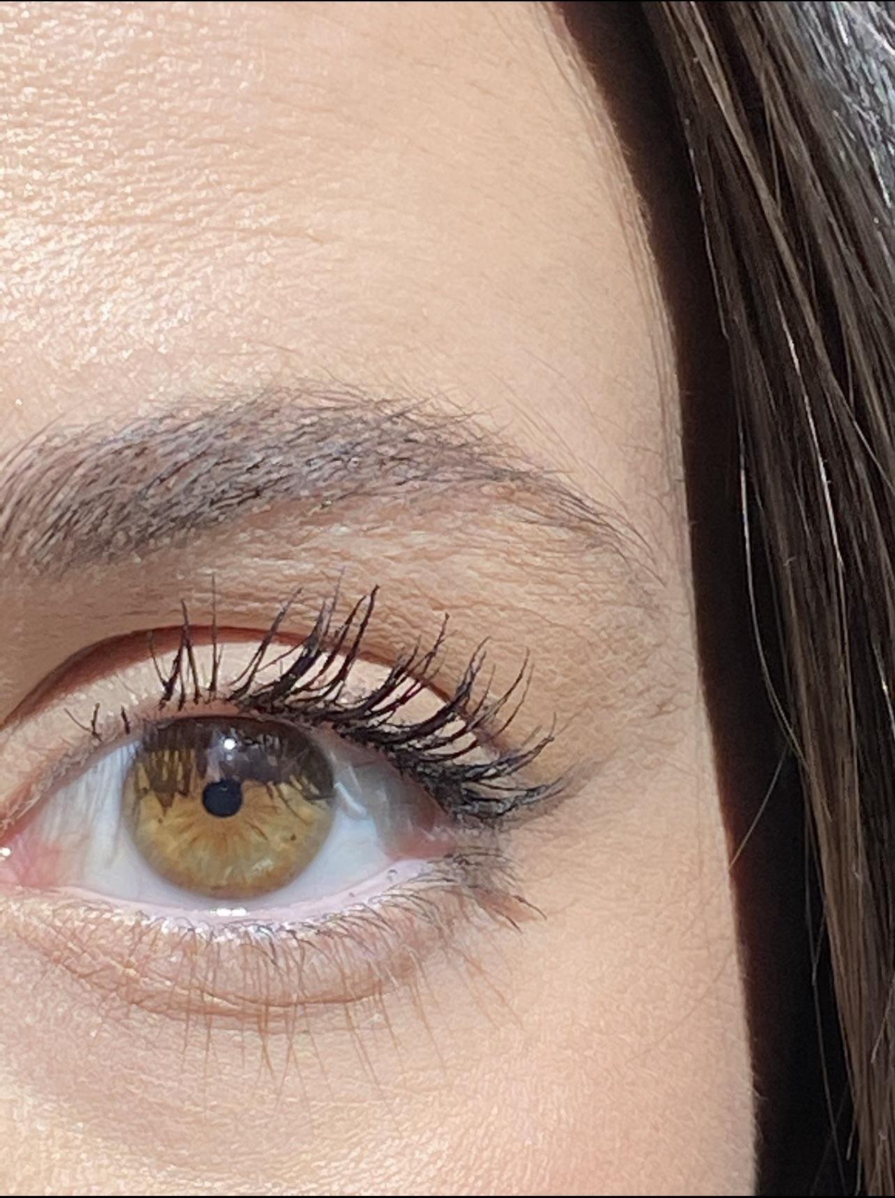 Light Brown? Dark Hazel/Amber? | Scrolller
