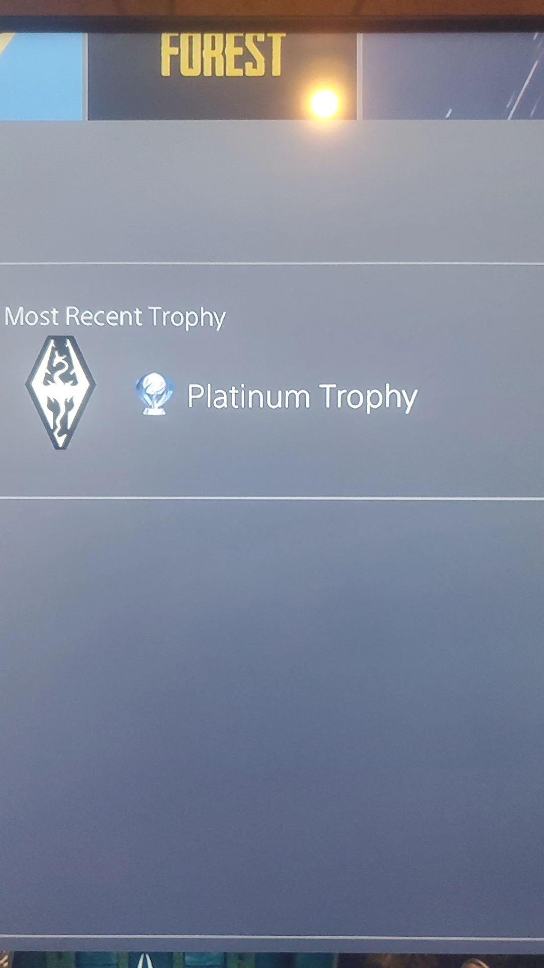 After a lot of quests, dragons, and murder, i finally got the platinum! | Scrolller