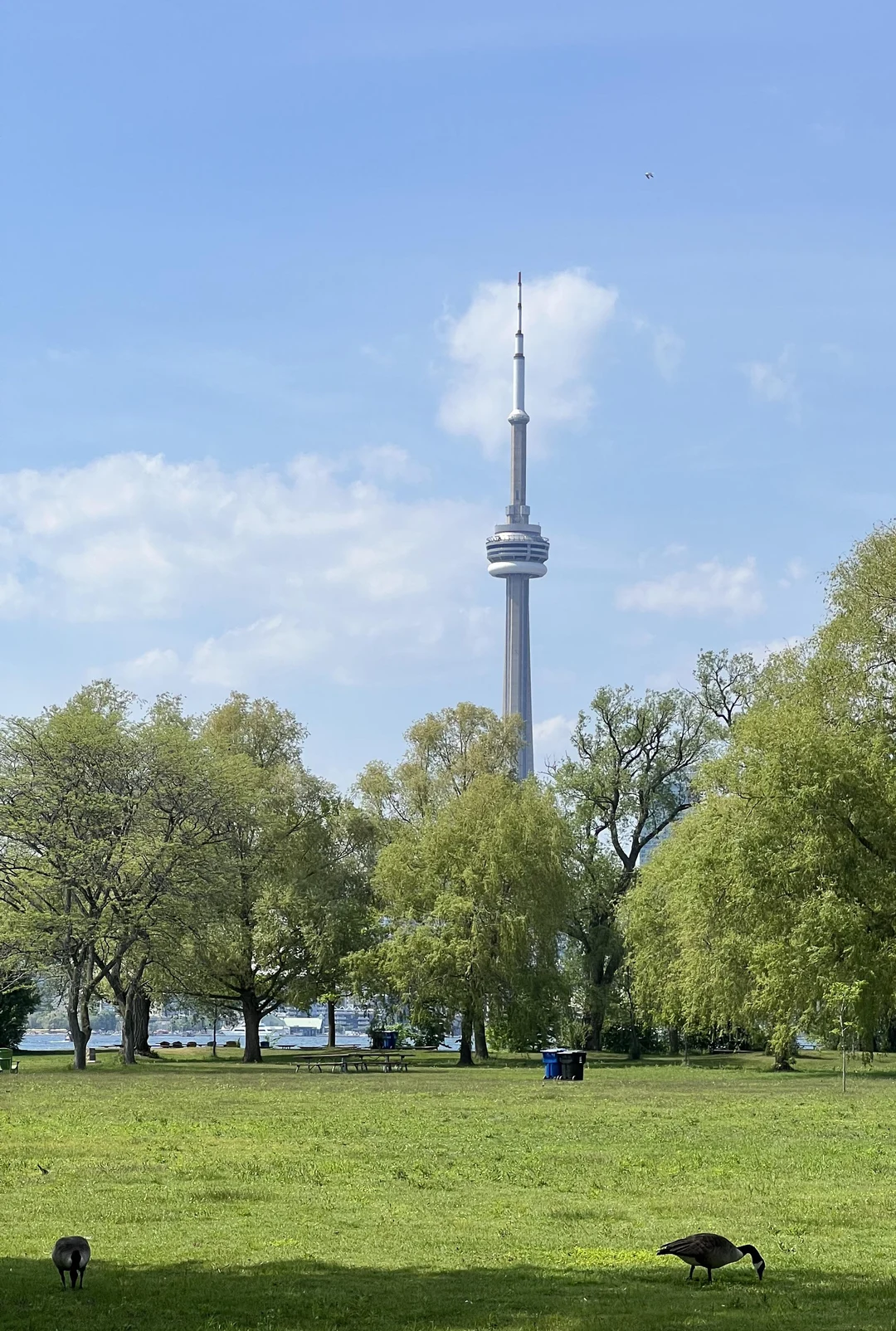 Toronto, CA. | Scrolller