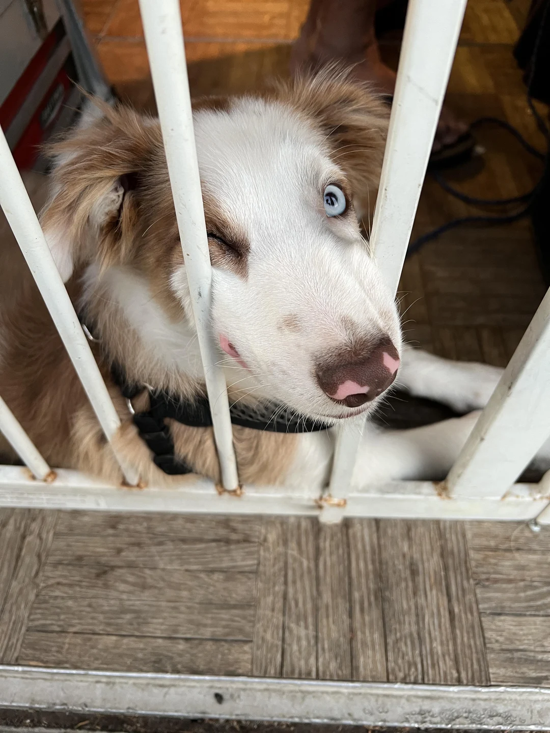 Assisted smile? | Scrolller