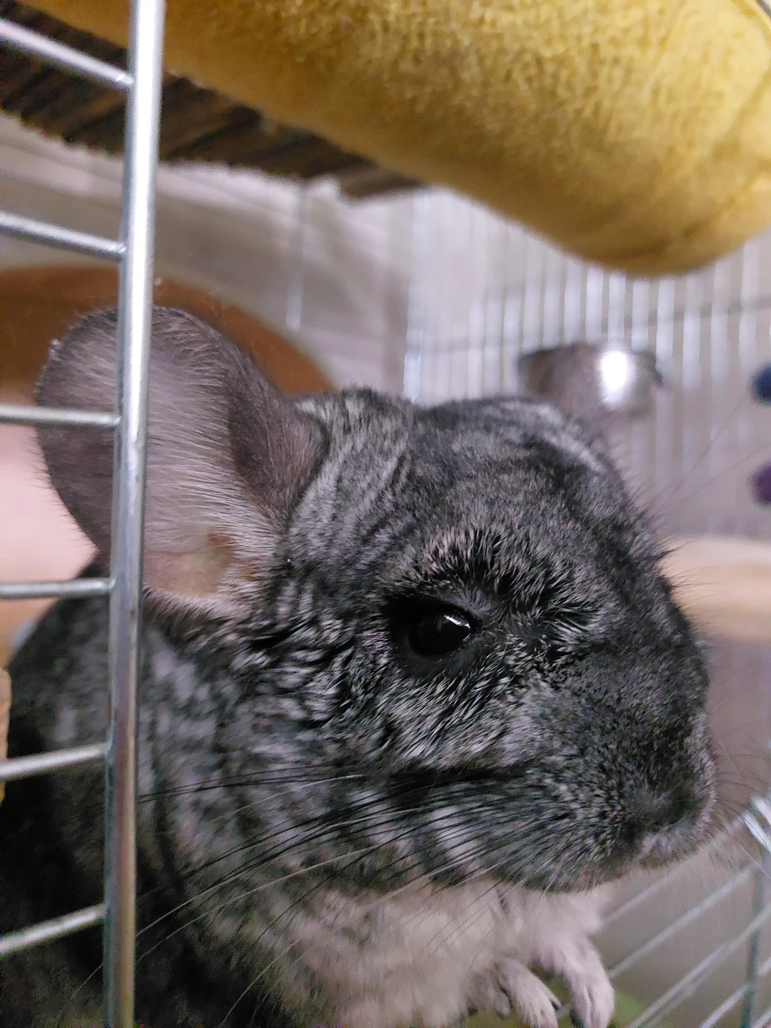 Is this normal? | Scrolller