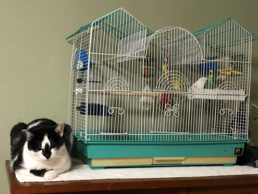 Menacing loaf | Scrolller