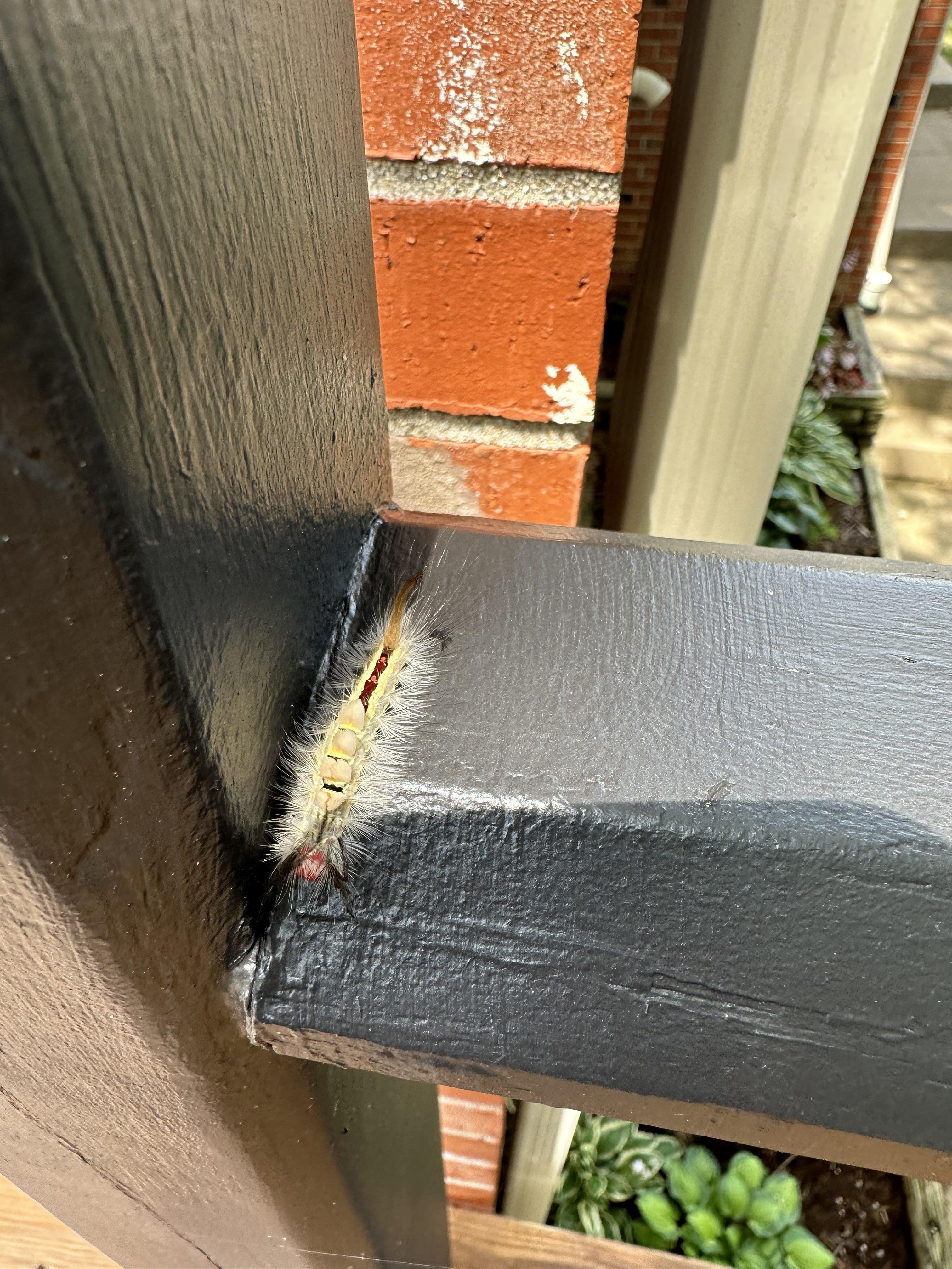 Southern indiana- need help | Scrolller