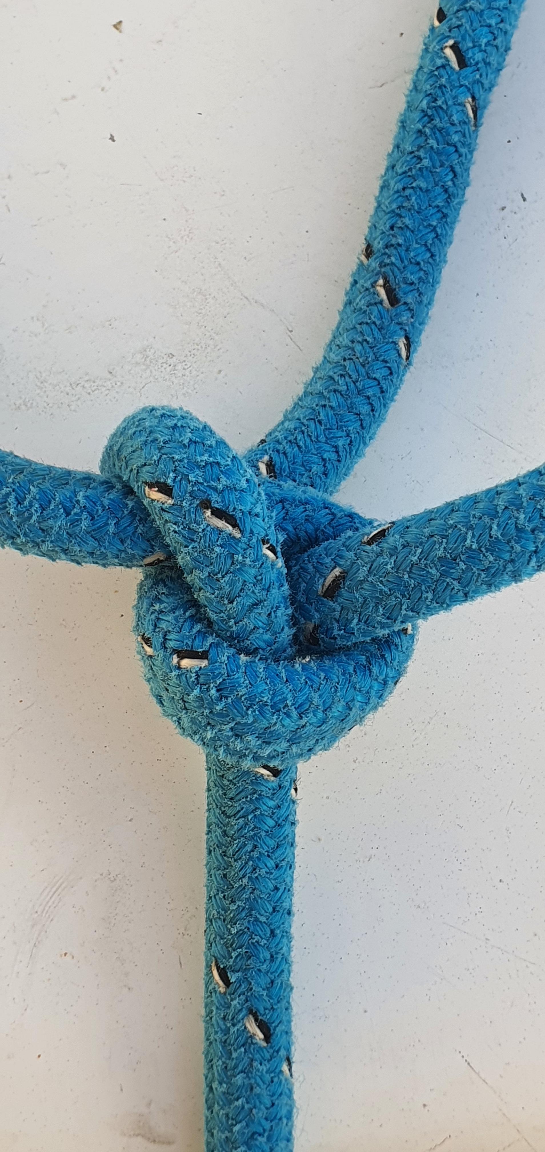 What's this knot | Scrolller