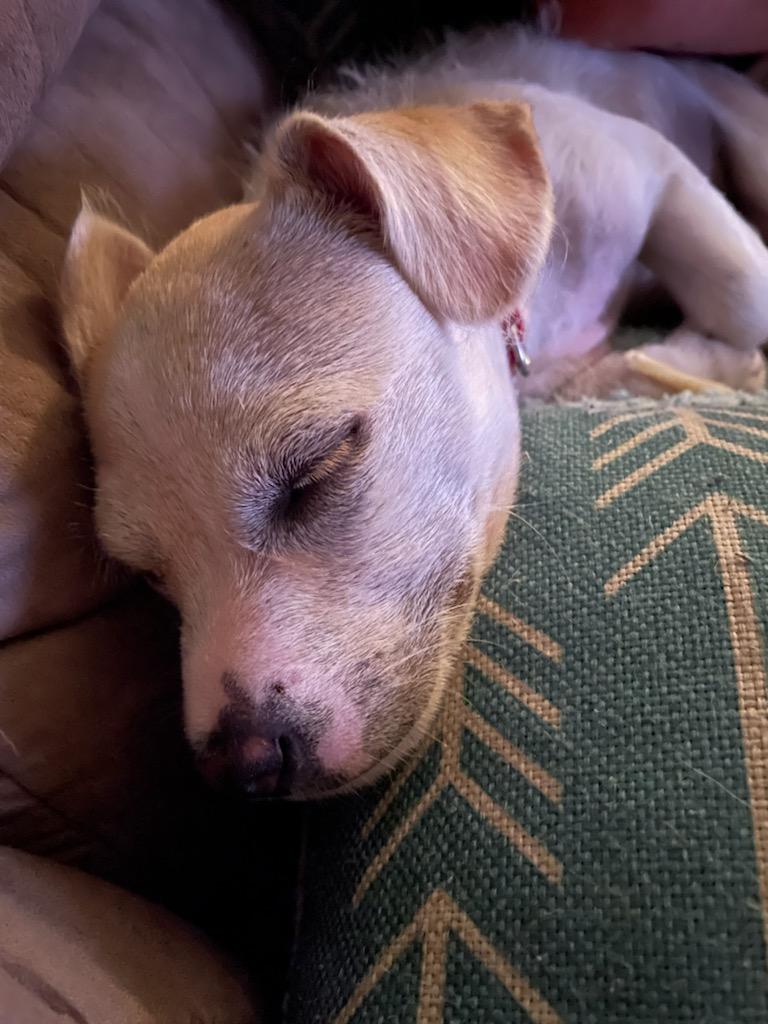 Jacqueline Olivia aka Jackie or Jackie O | Scrolller