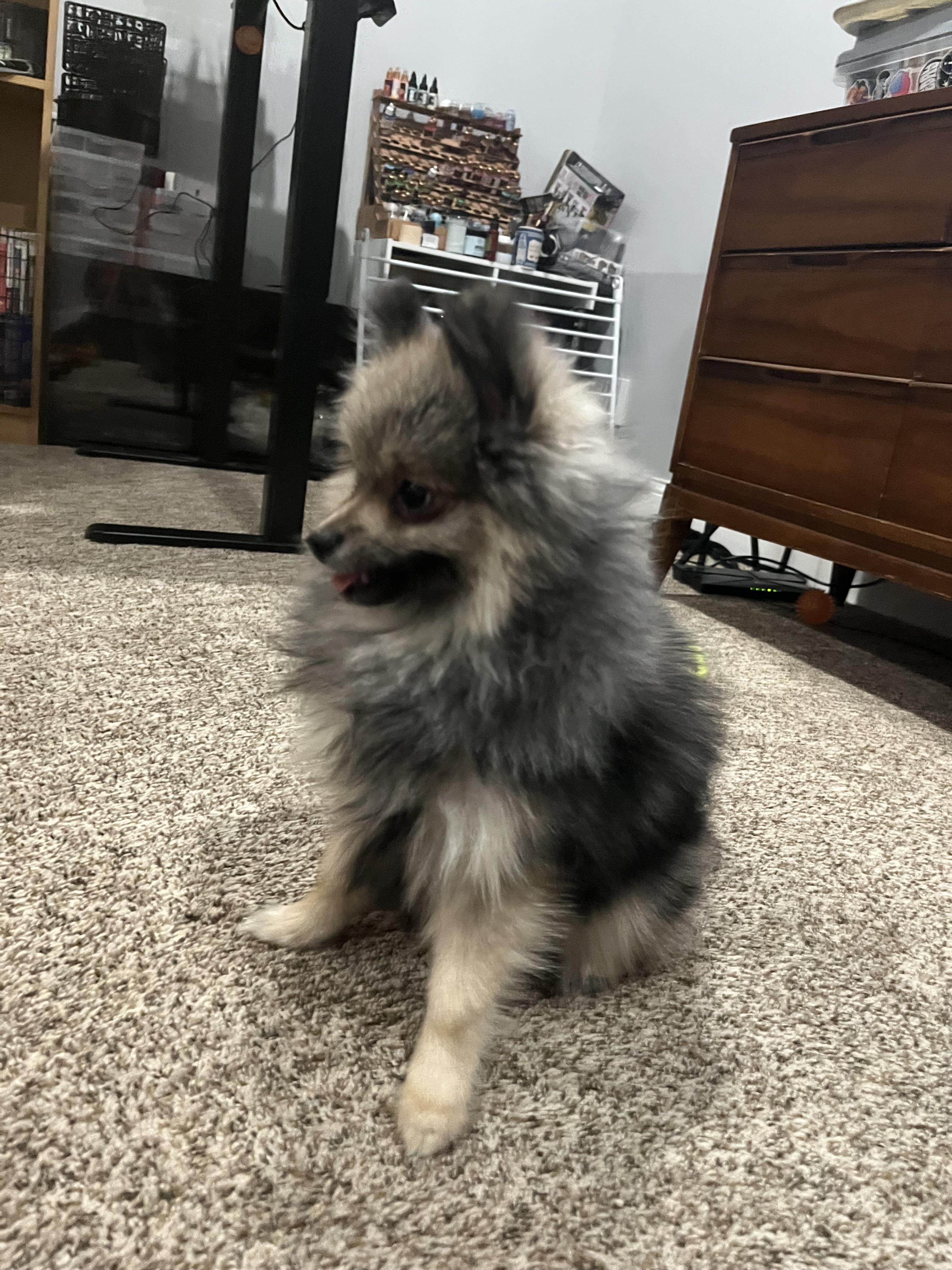 Lupin cracked 6lbs today | Scrolller