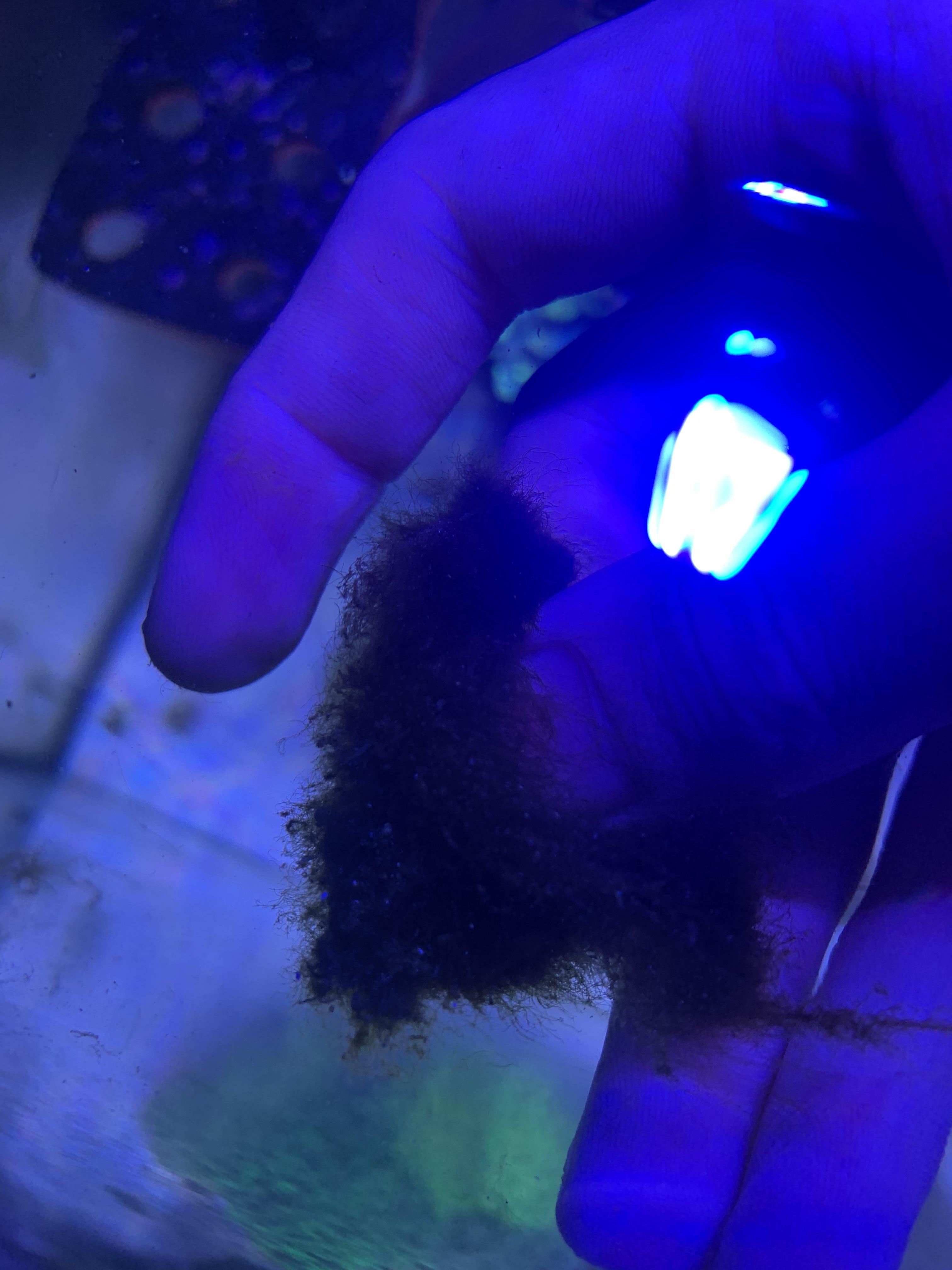 ID please , I've been manual removal but it doesn't seems to be help it go away | Scrolller