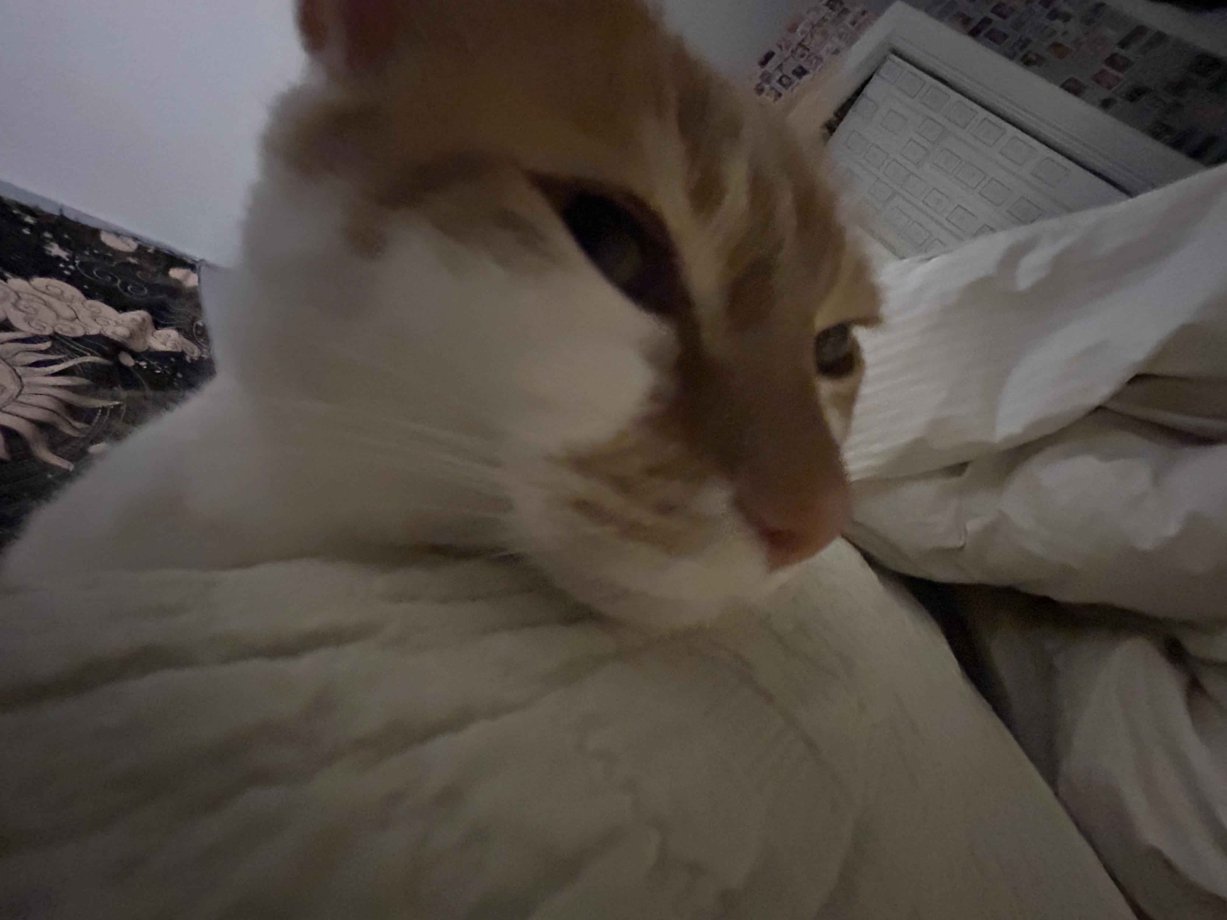 My patient model (OC) | Scrolller