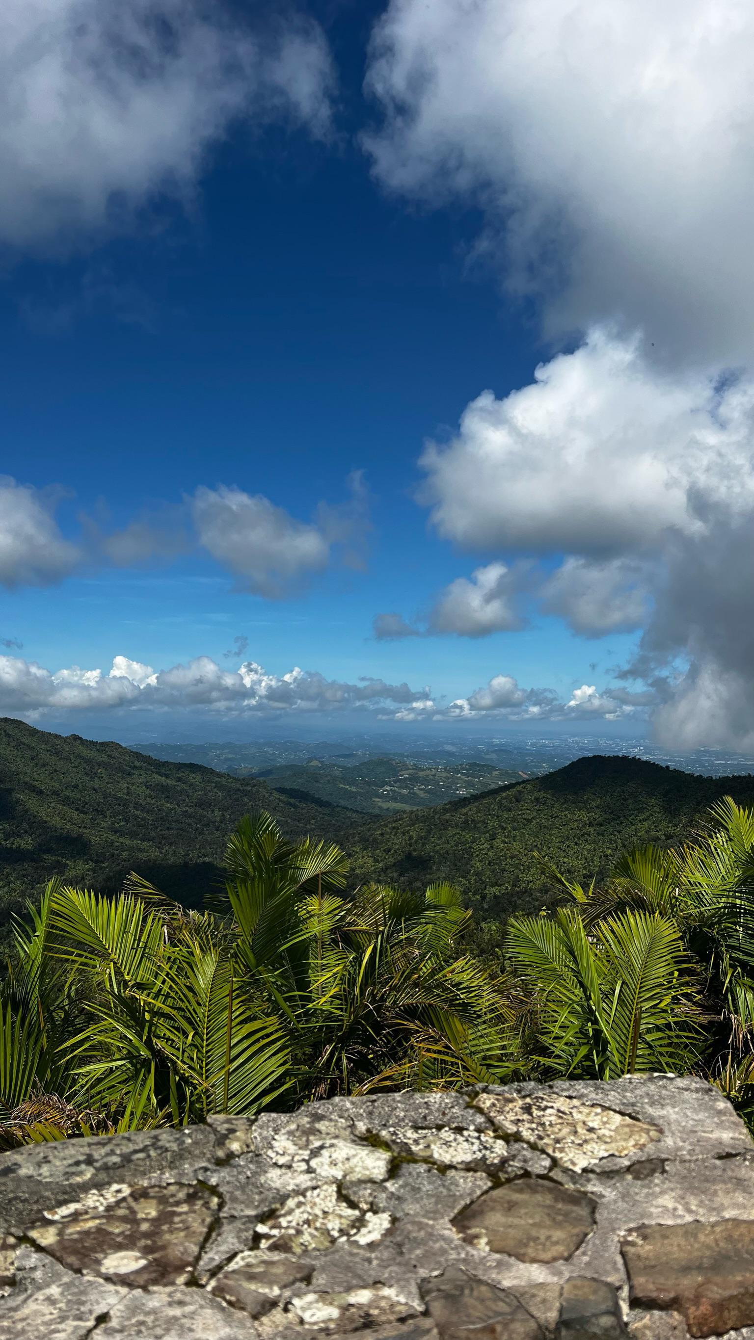 Some pictures of my travel through Puerto Rico🇵🇷 | Scrolller
