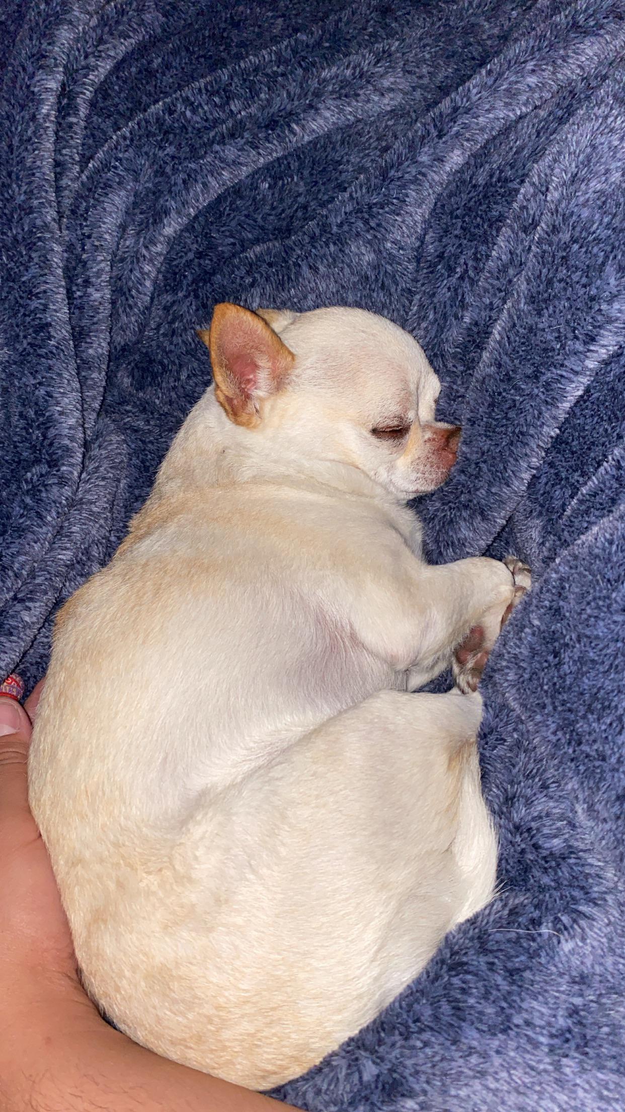 Some snoozing pics | Scrolller